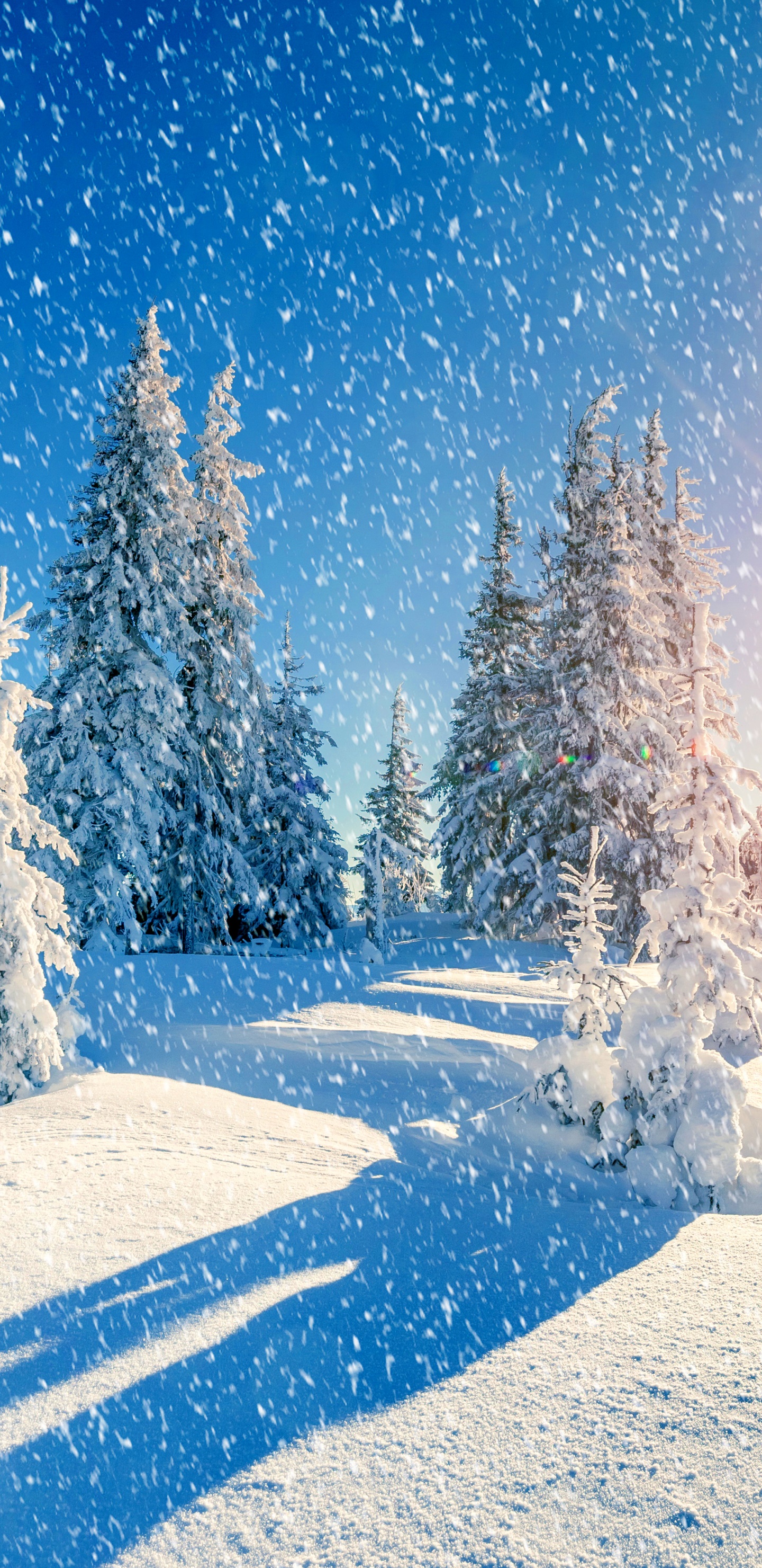 Winter Snowfall Tree Wallpapers - Wallpaper Cave