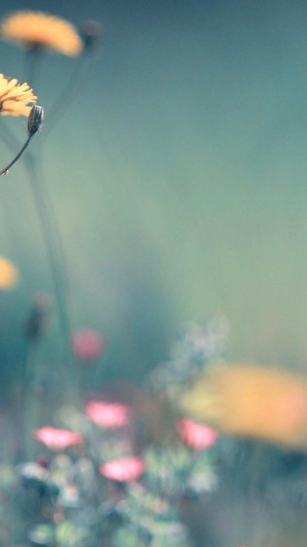 Spring 2023 Wallpapers - Wallpaper Cave