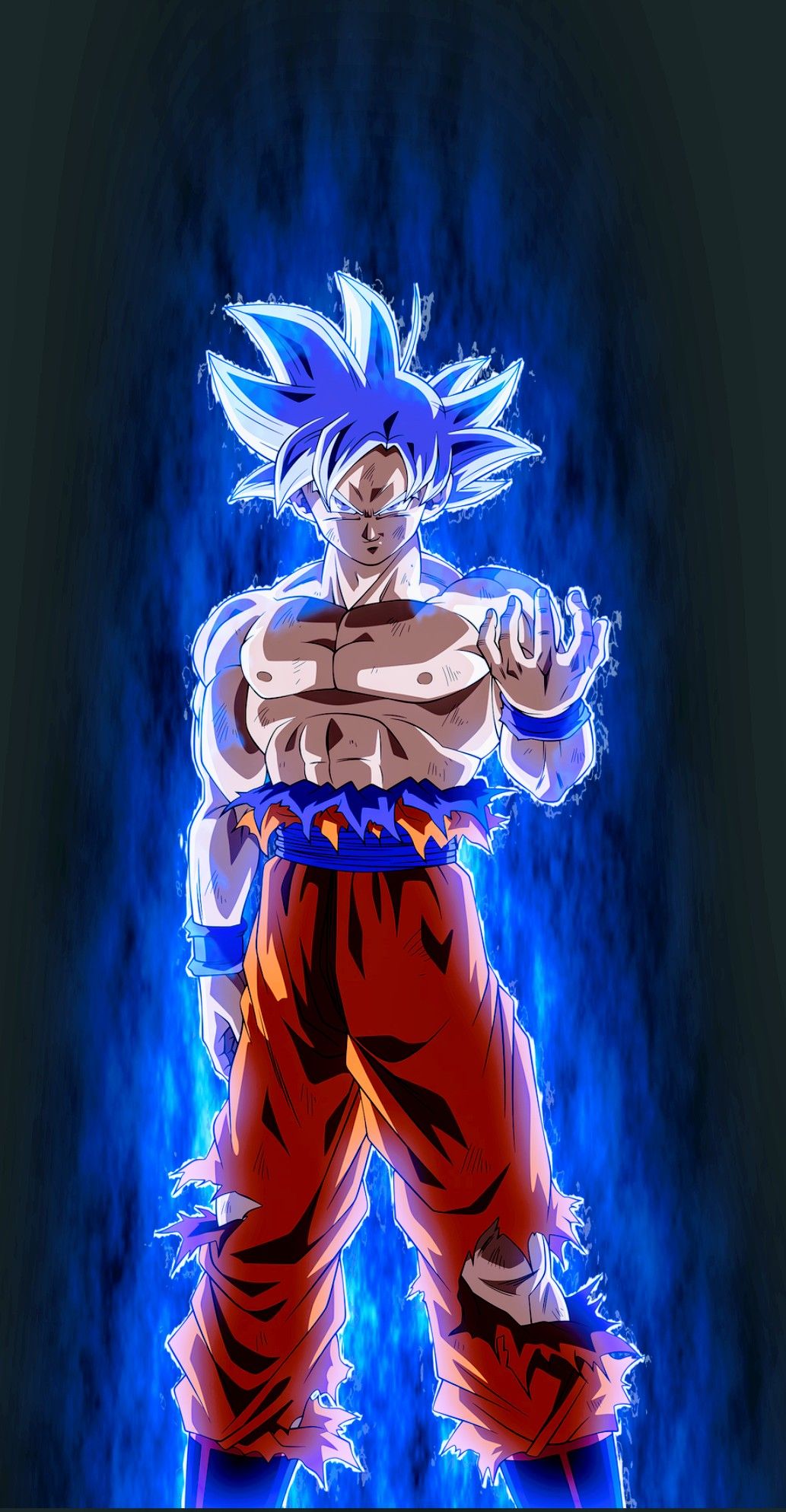 TUI Goku Wallpapers - Wallpaper Cave