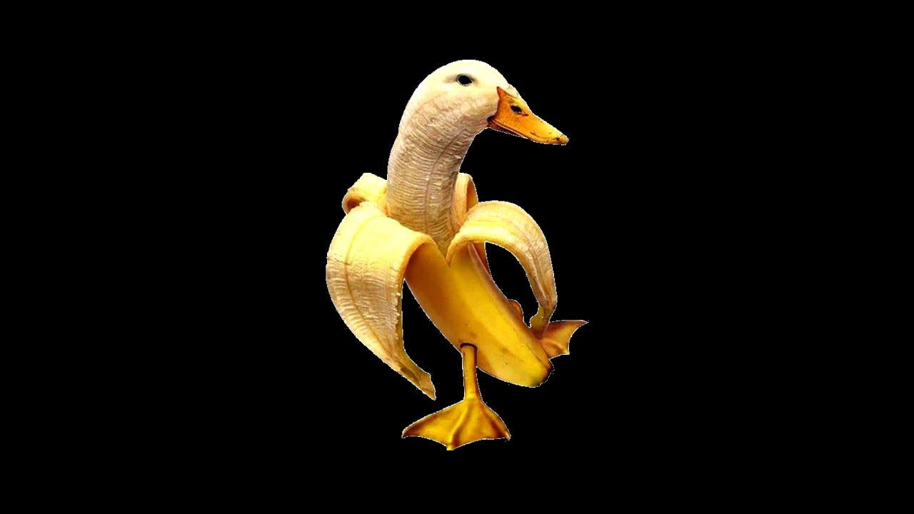 Banana Duck Wallpapers - Wallpaper Cave