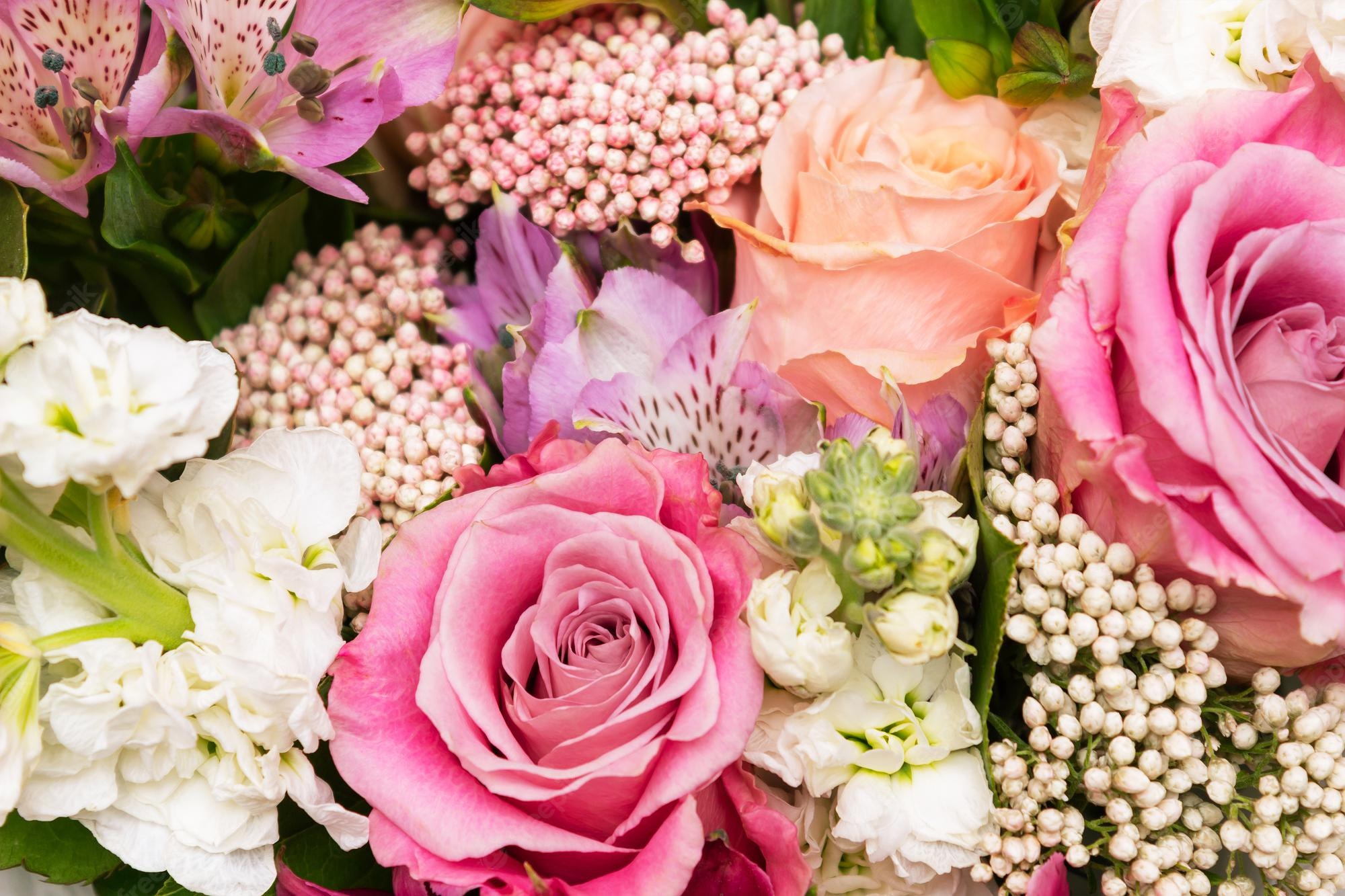 Rose Spring Wallpapers - Wallpaper Cave