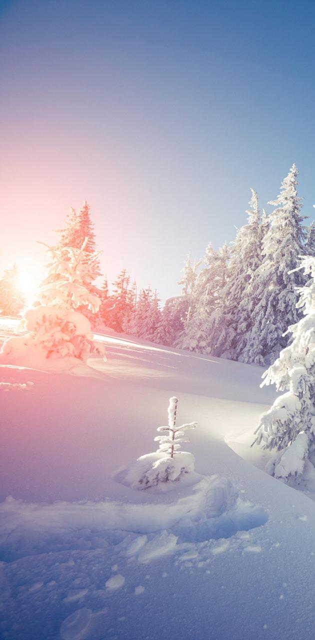Calming Winter Wallpapers - Wallpaper Cave