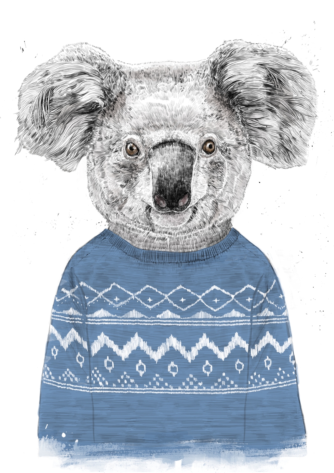 Koala Winter Wallpapers - Wallpaper Cave
