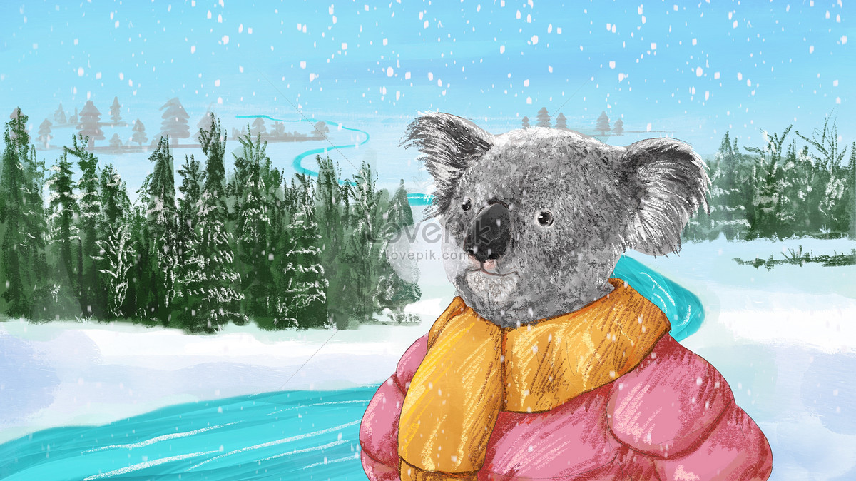 Koala Winter Wallpapers - Wallpaper Cave