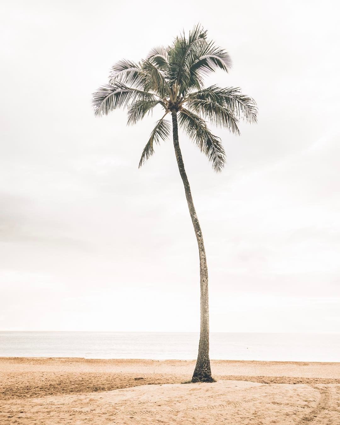 Beach Boho Wallpapers - Wallpaper Cave