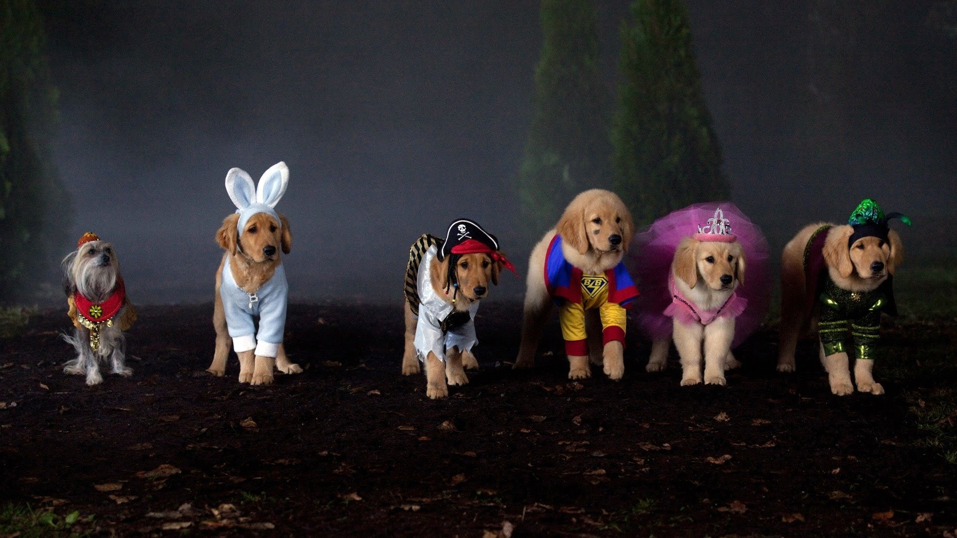 Spooky Buddies Wallpapers - Wallpaper Cave