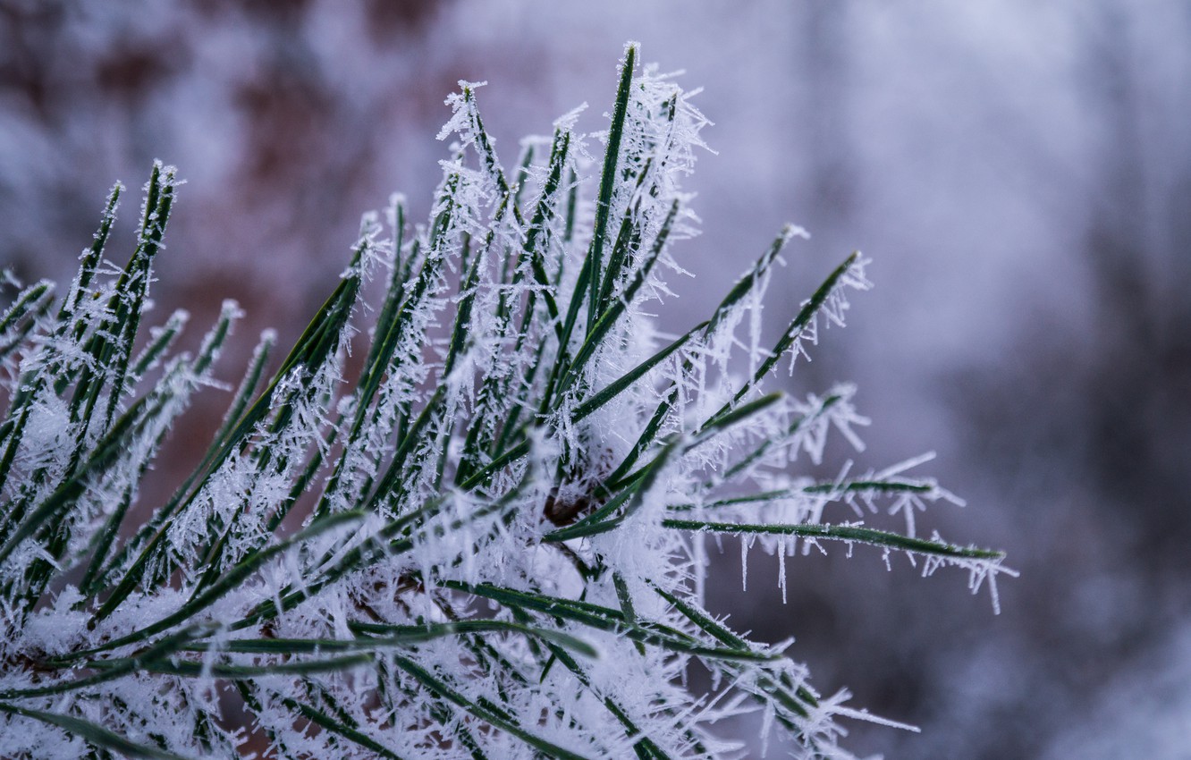 Winter Snow Ice Cold Wallpapers - Wallpaper Cave