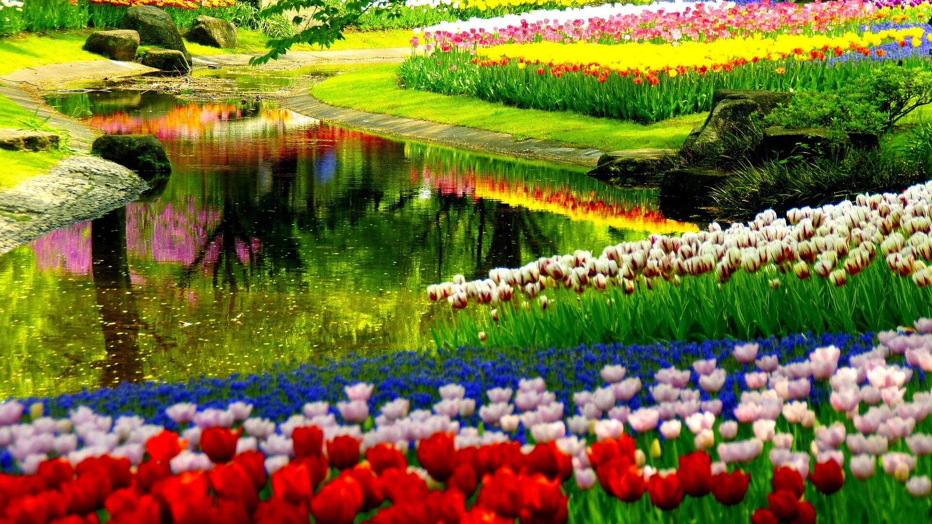 Spring Garden Wallpapers Spring Garden Stock Photos, Royalty Free