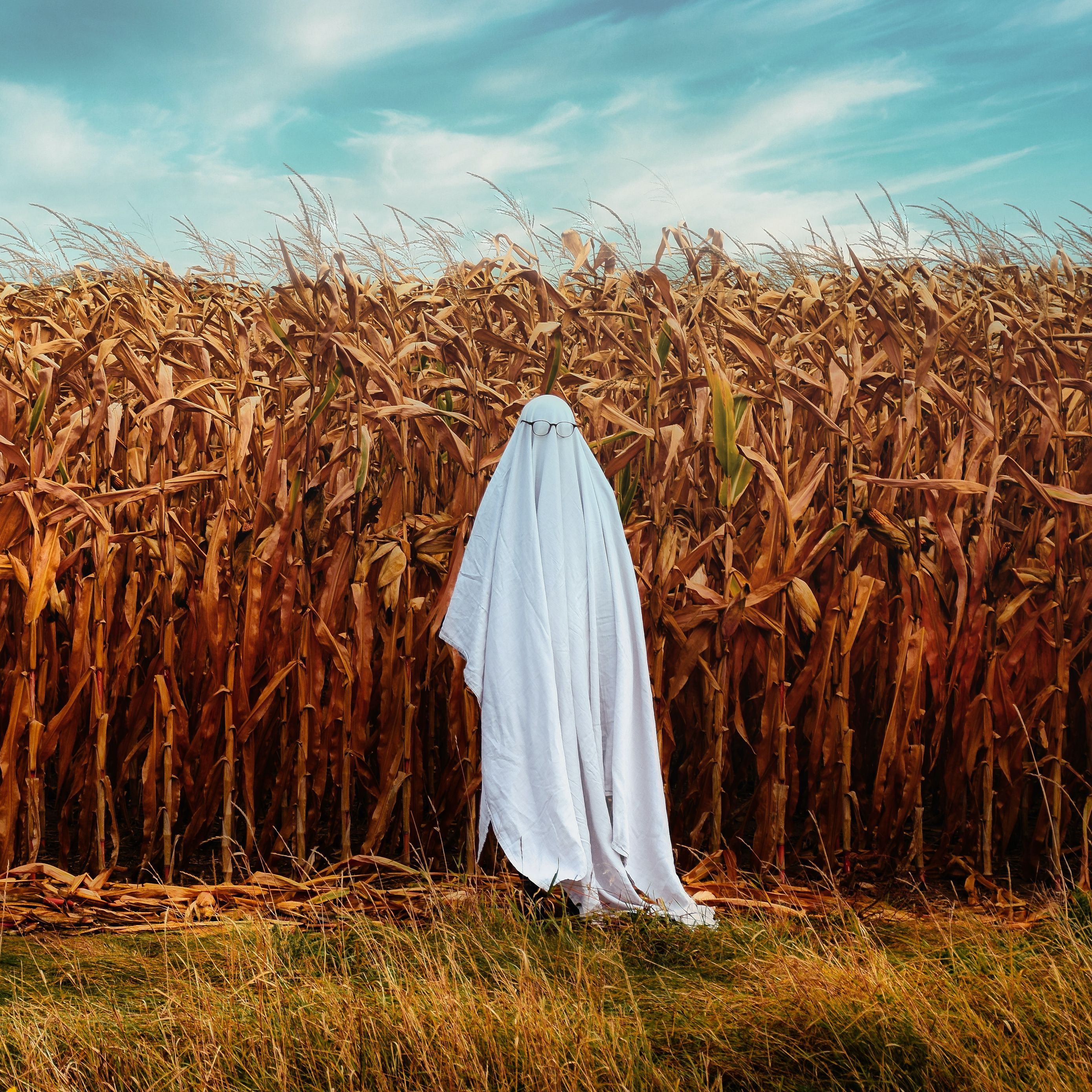 Ghost With Glasses Wallpapers - Wallpaper Cave