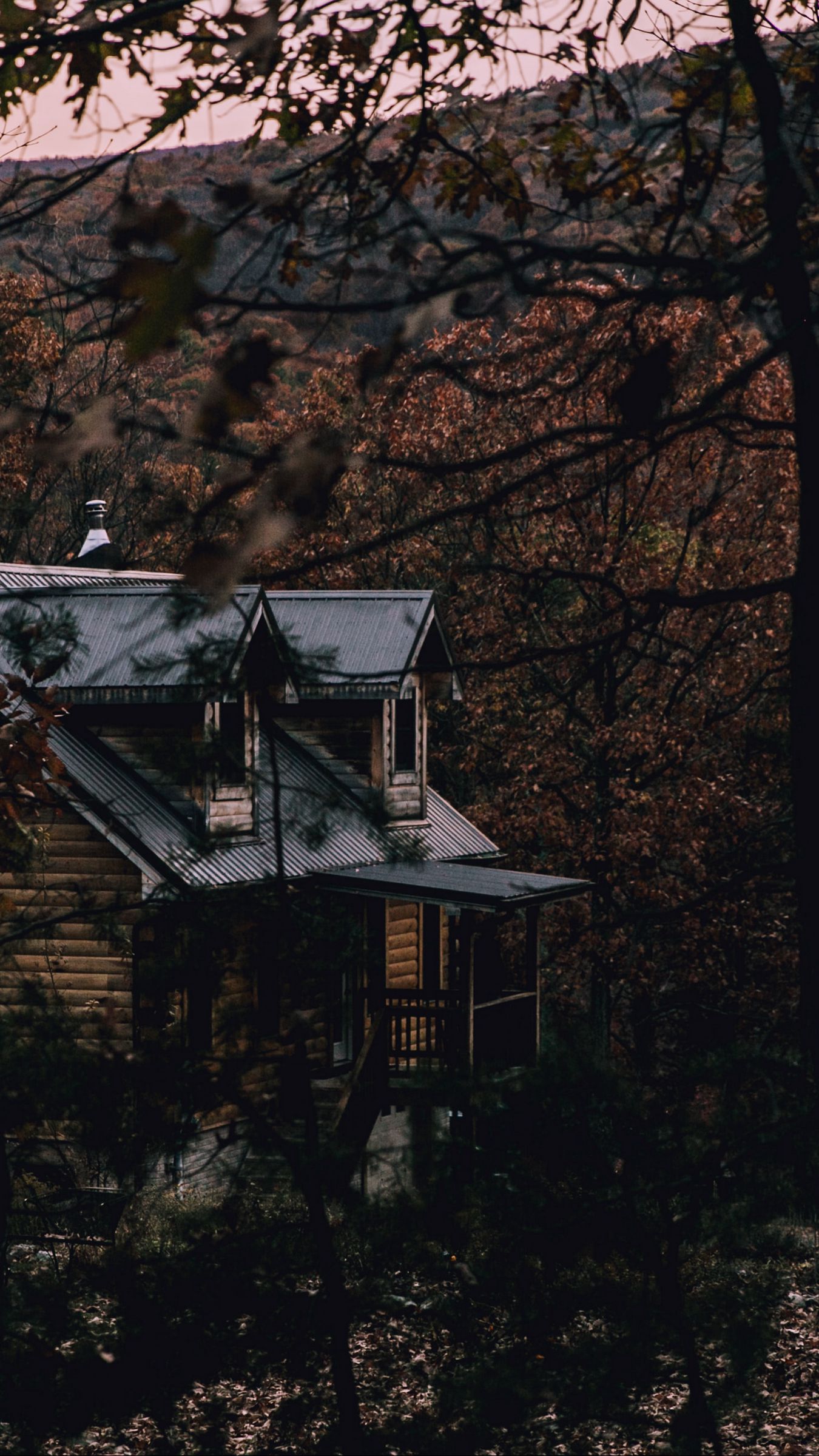 House In The Forest Wallpapers - Wallpaper Cave