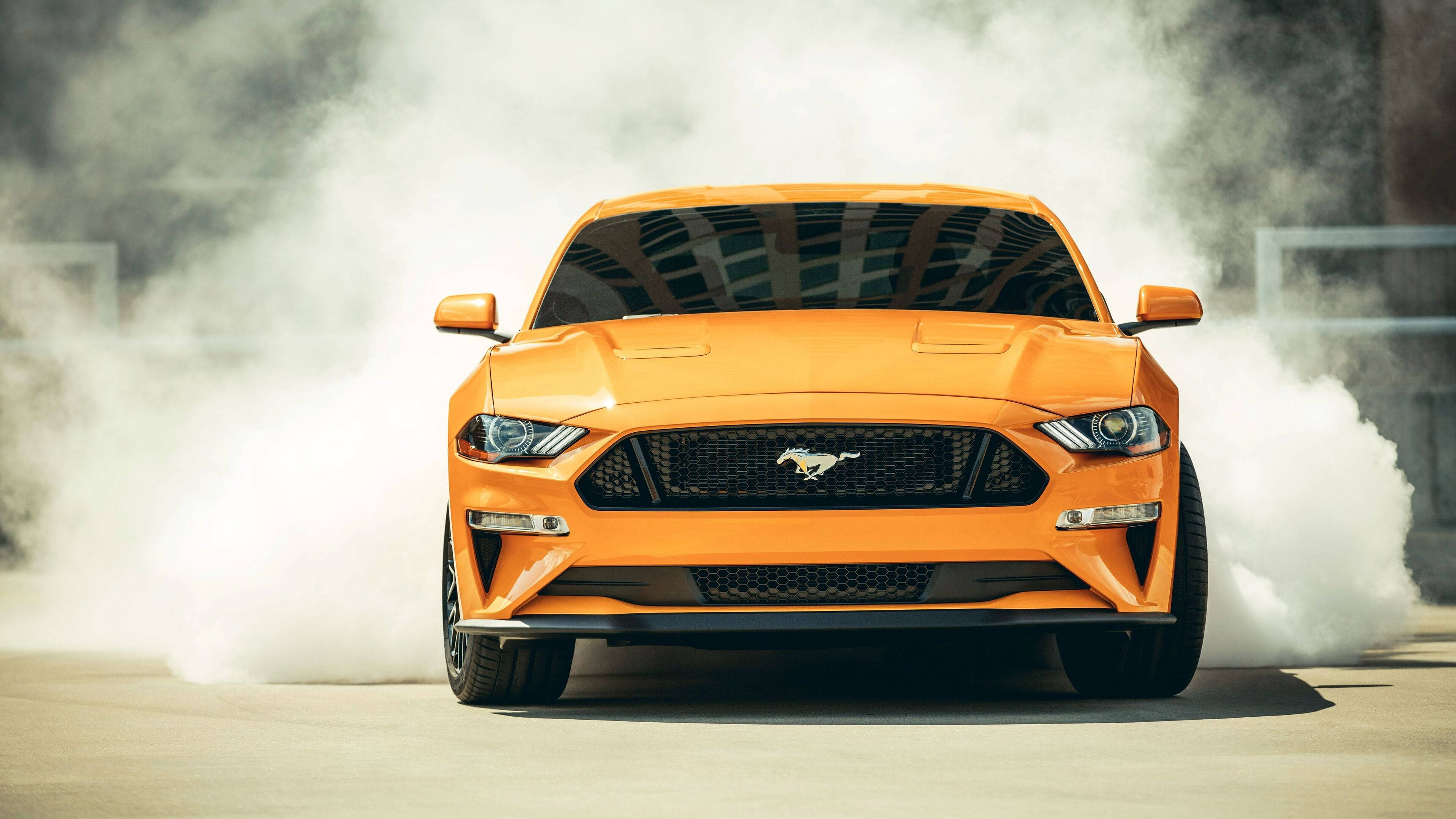 Orange Mustang Wallpapers - Wallpaper Cave