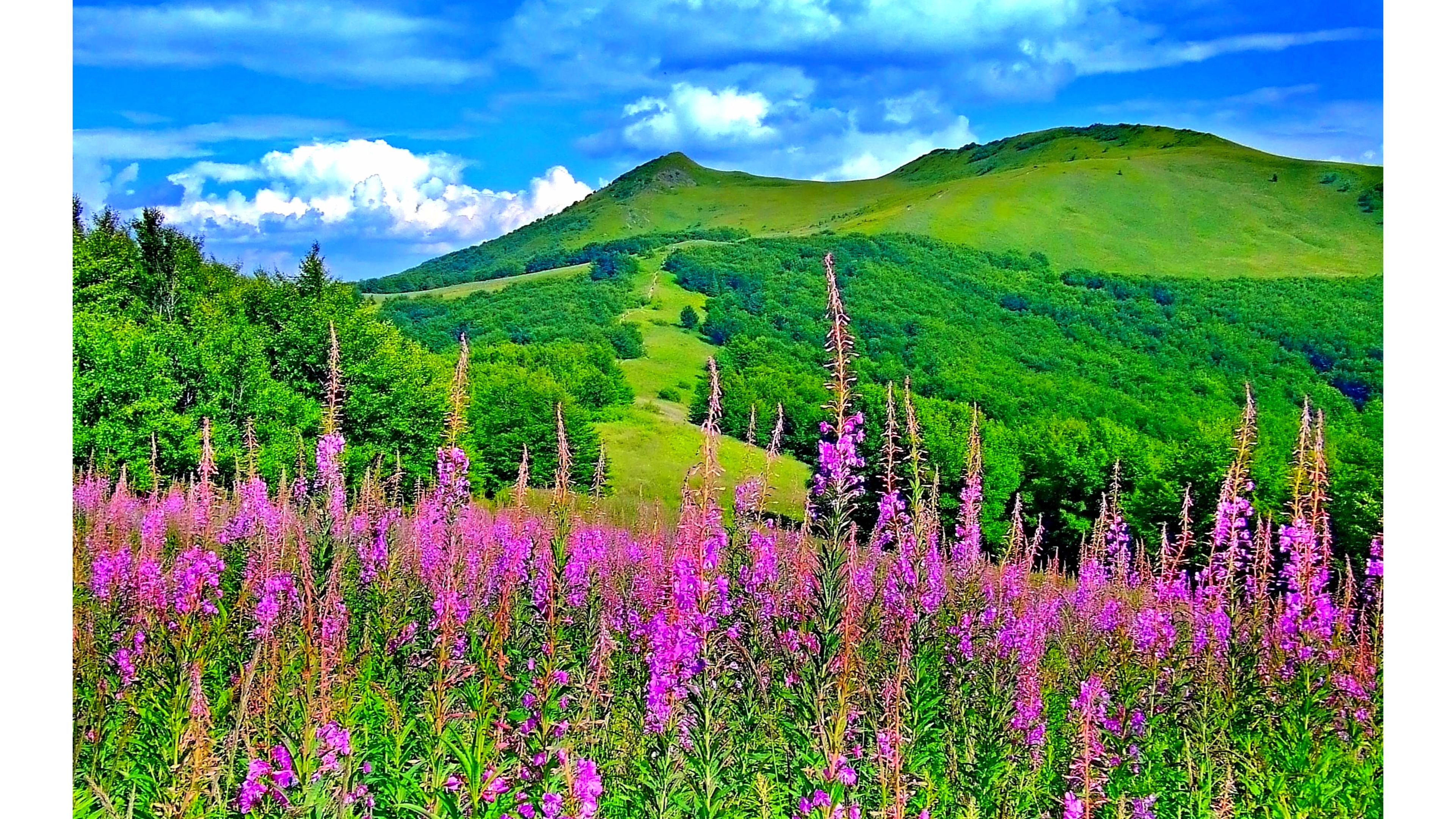 Spring Mountains 4k Wallpapers - Wallpaper Cave