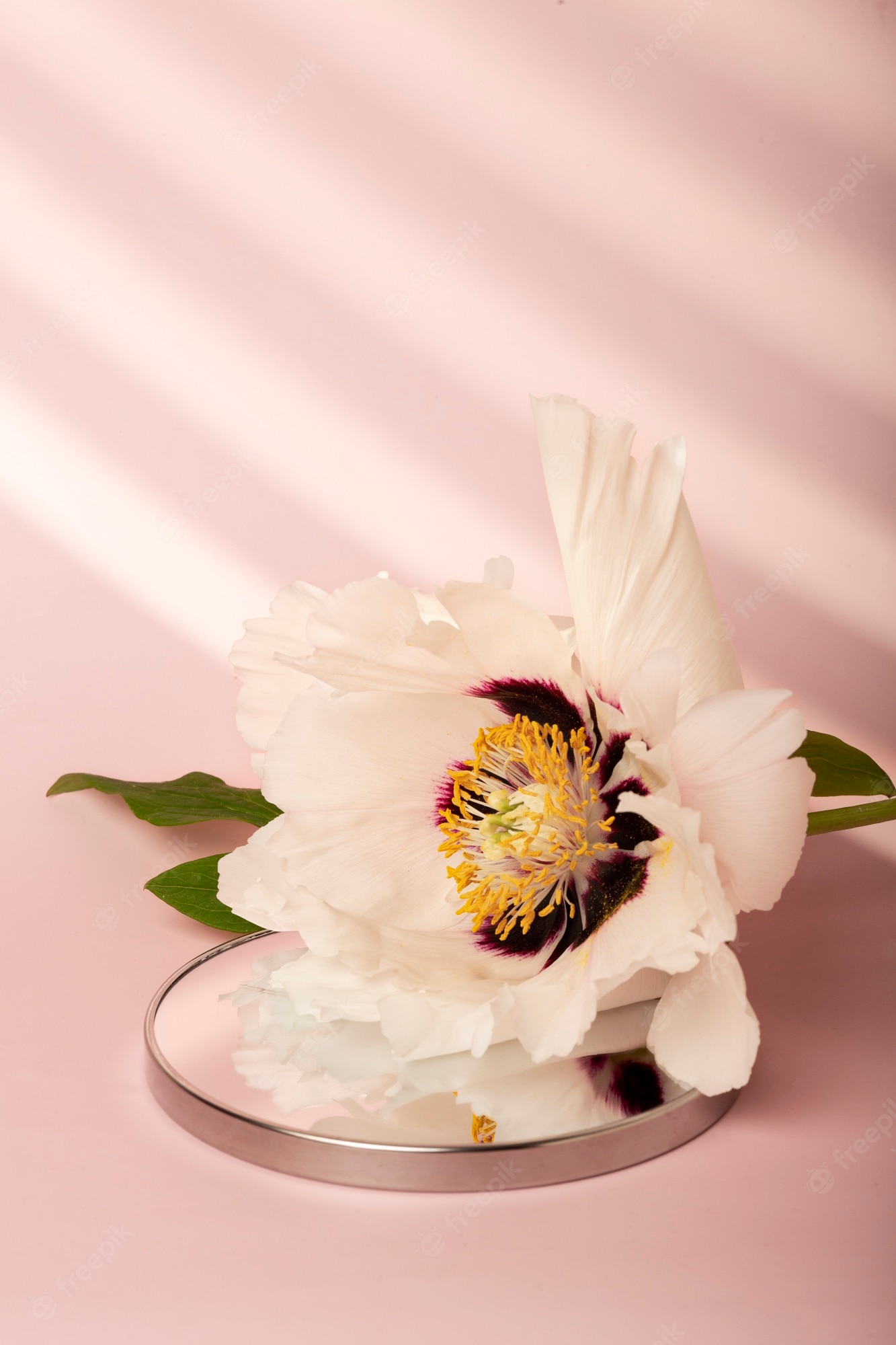 Cute Flowers Spring Wallpapers - Wallpaper Cave