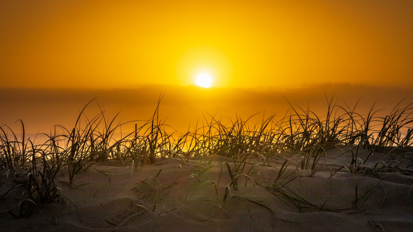 Sunset Grass Wallpapers - Wallpaper Cave