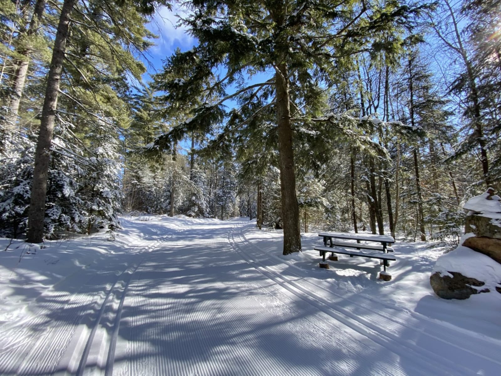 Picnic Winter Wallpapers - Wallpaper Cave