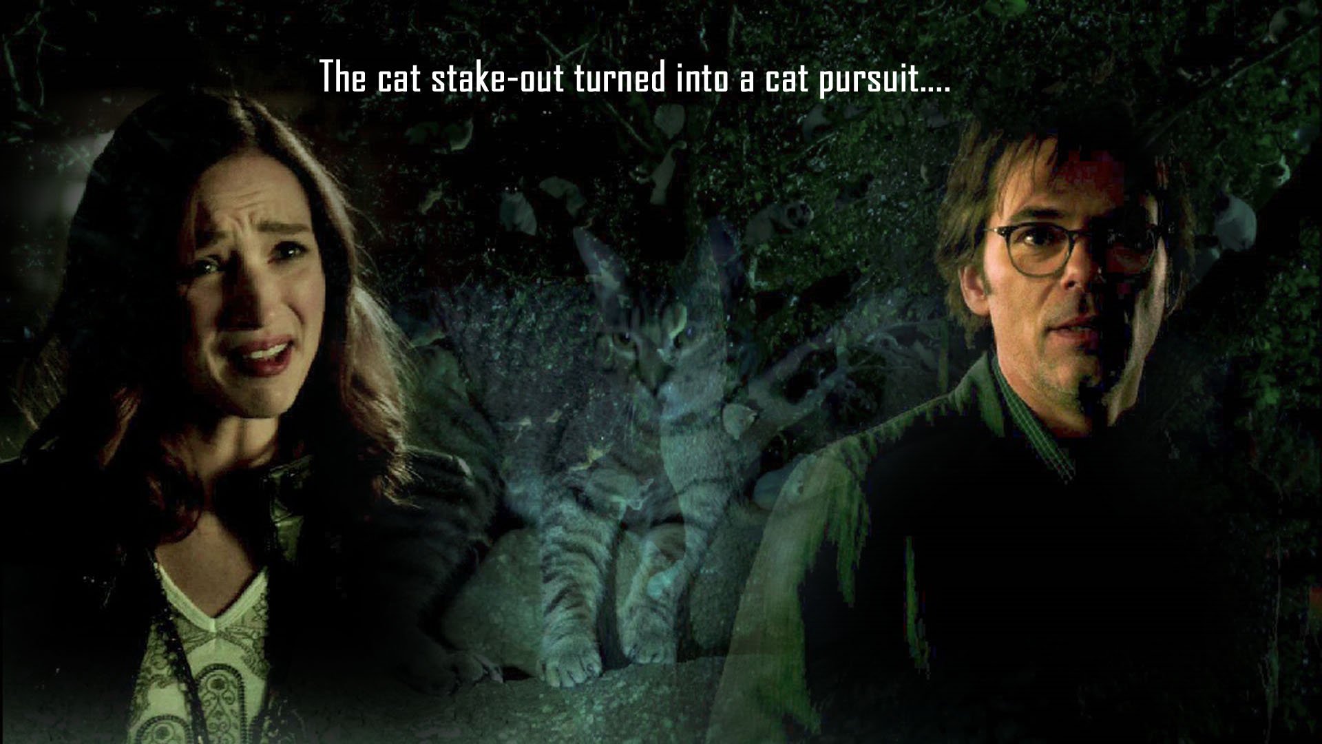 Mitch Morgan Wallpapers - Wallpaper Cave