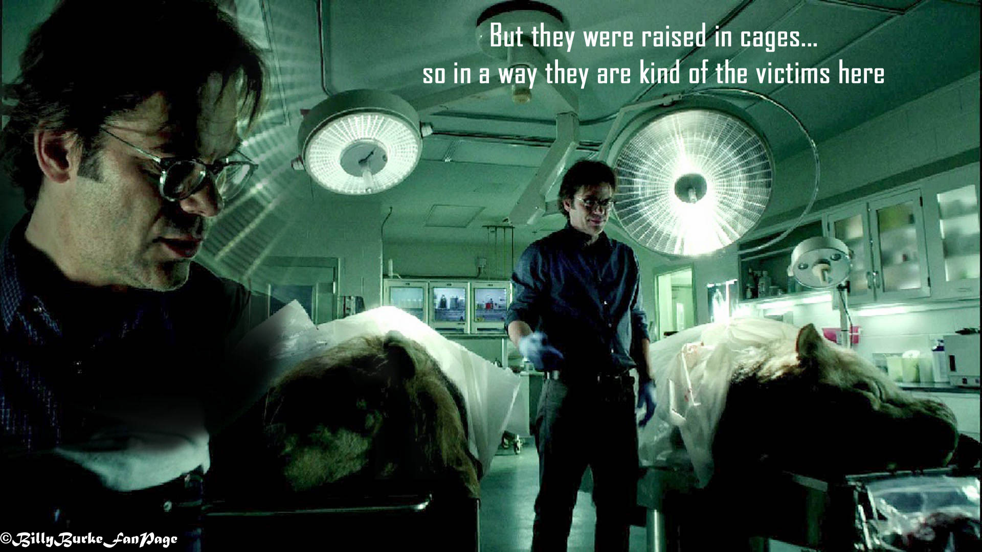 Mitch Morgan Wallpapers - Wallpaper Cave