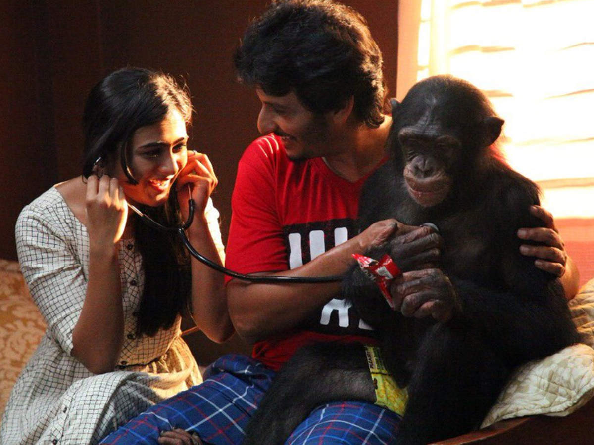 Gorilla Movie Wallpapers - Wallpaper Cave