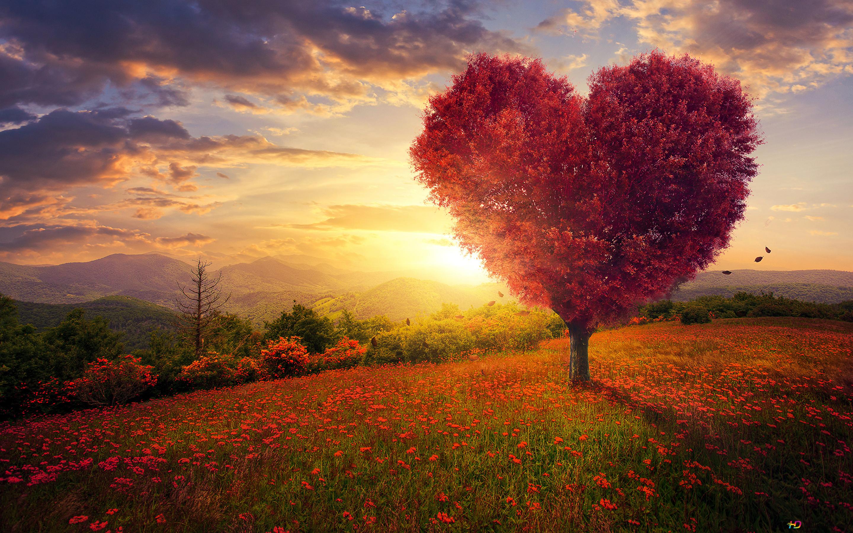 Valentines Landscape Wallpapers - Wallpaper Cave