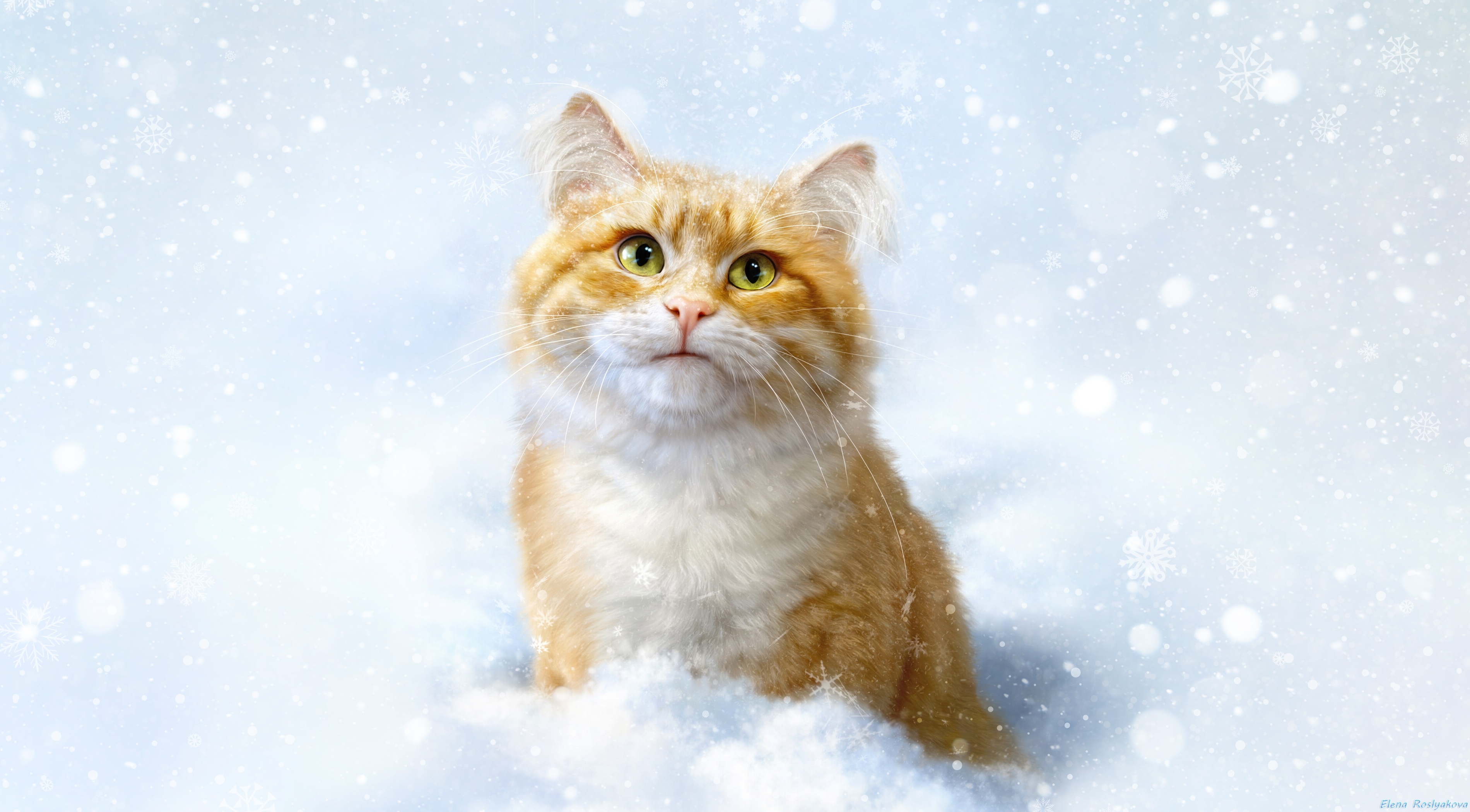 Winter Snow Cat Wallpapers - Wallpaper Cave