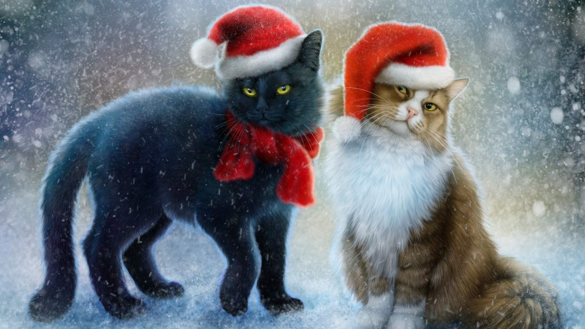 Winter Snow Cat Wallpapers - Wallpaper Cave