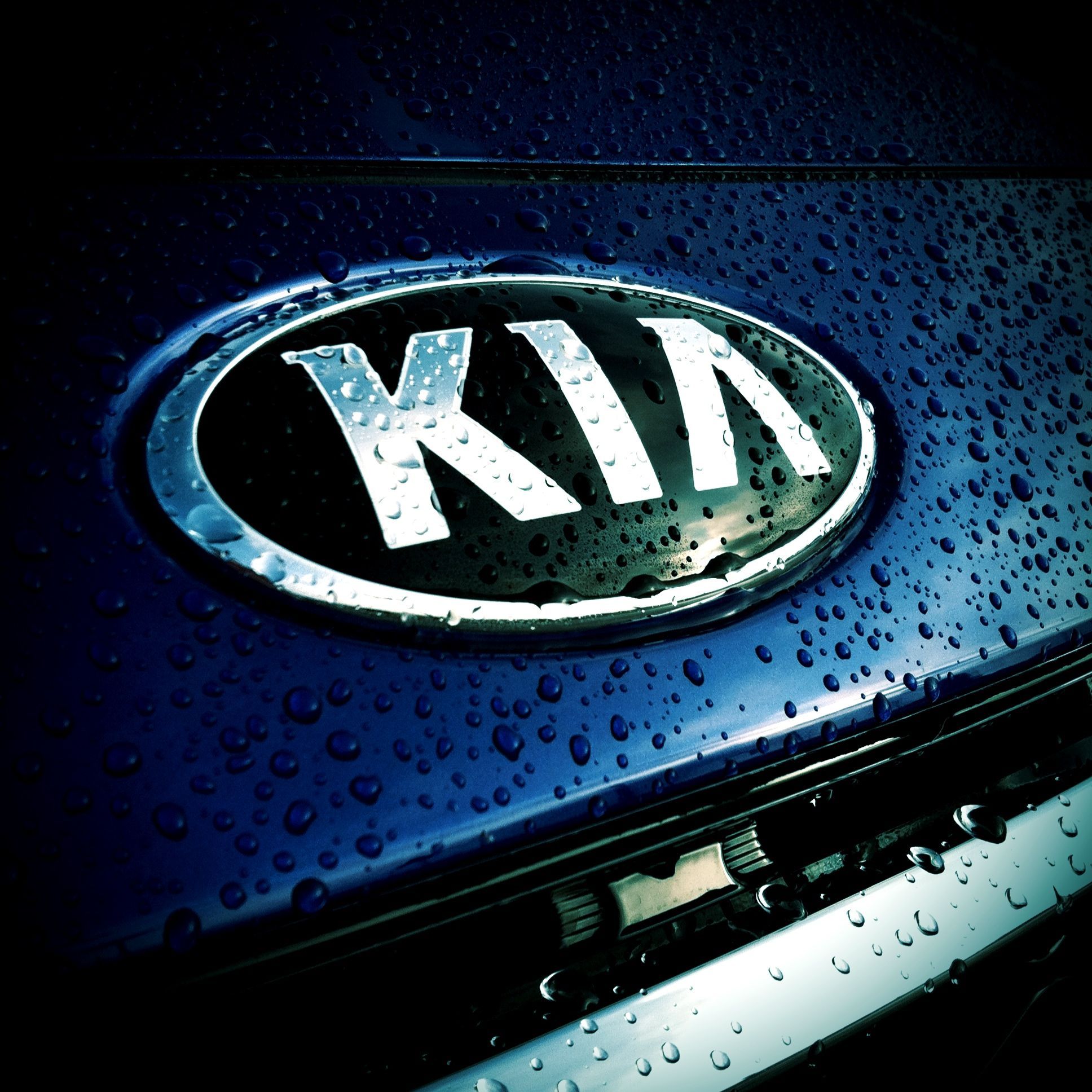 Wallpapers Kia Logo Kia UAE Kia New Car Models, Prices & Pictures In