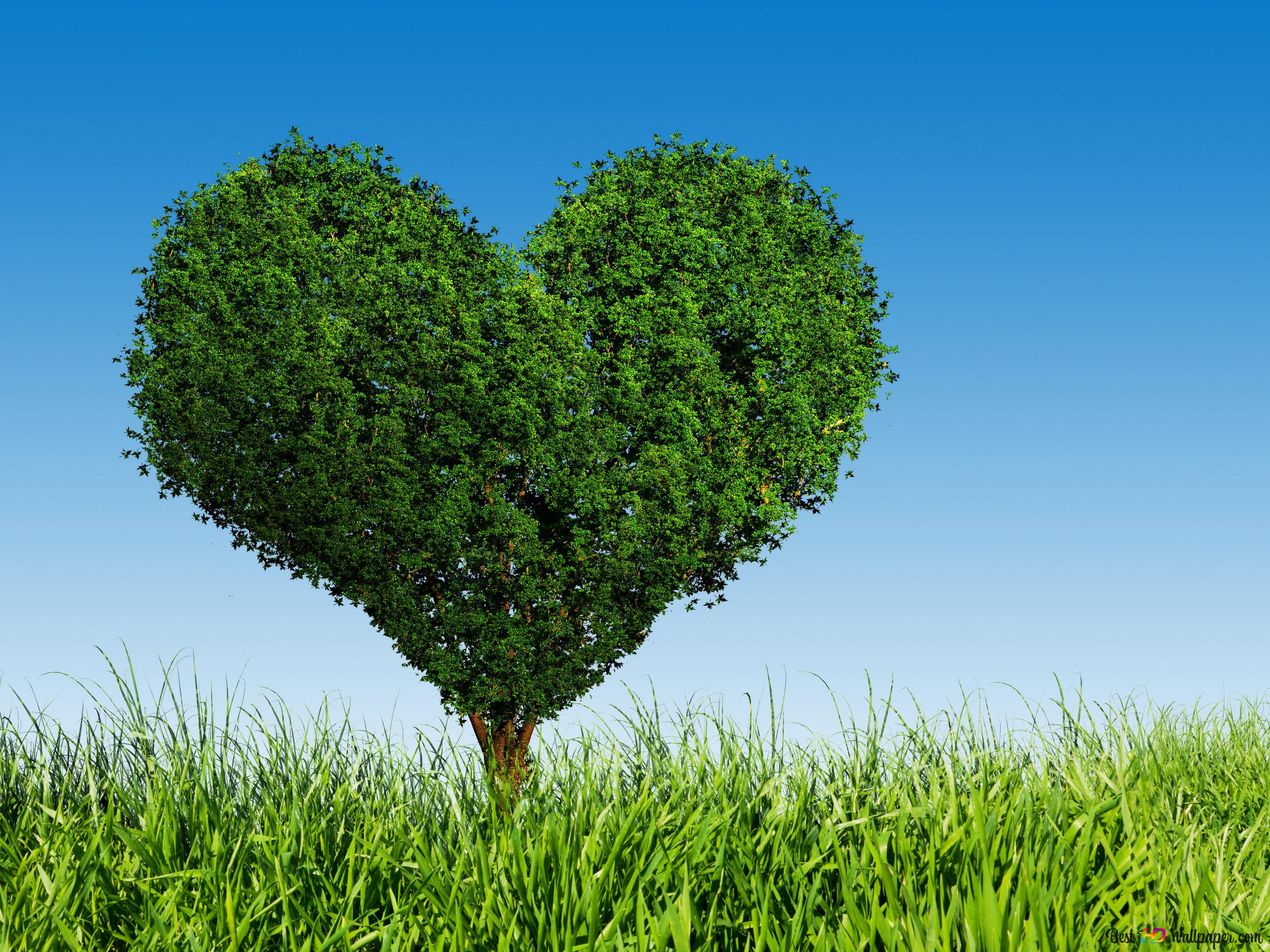 Valentine Landscape Wallpapers - Wallpaper Cave