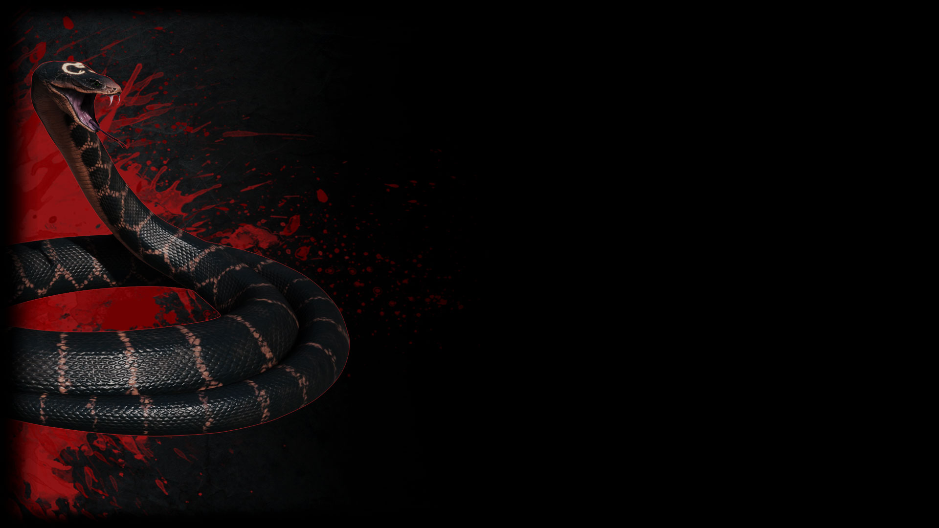 Set Profile Wallpapers - Wallpaper Cave