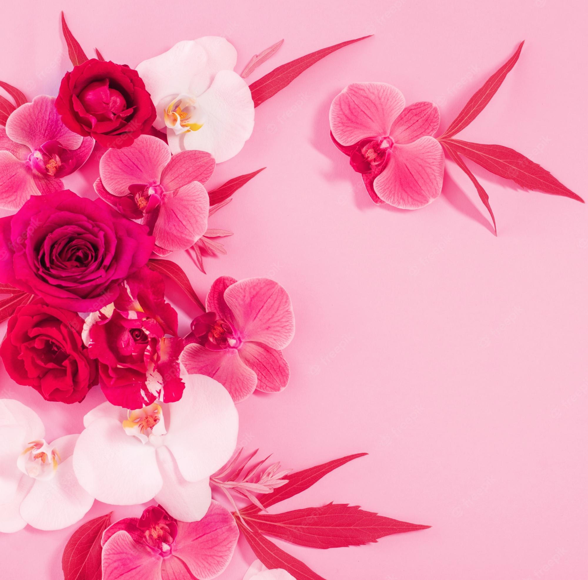 Flowers 2023 Wallpapers - Wallpaper Cave