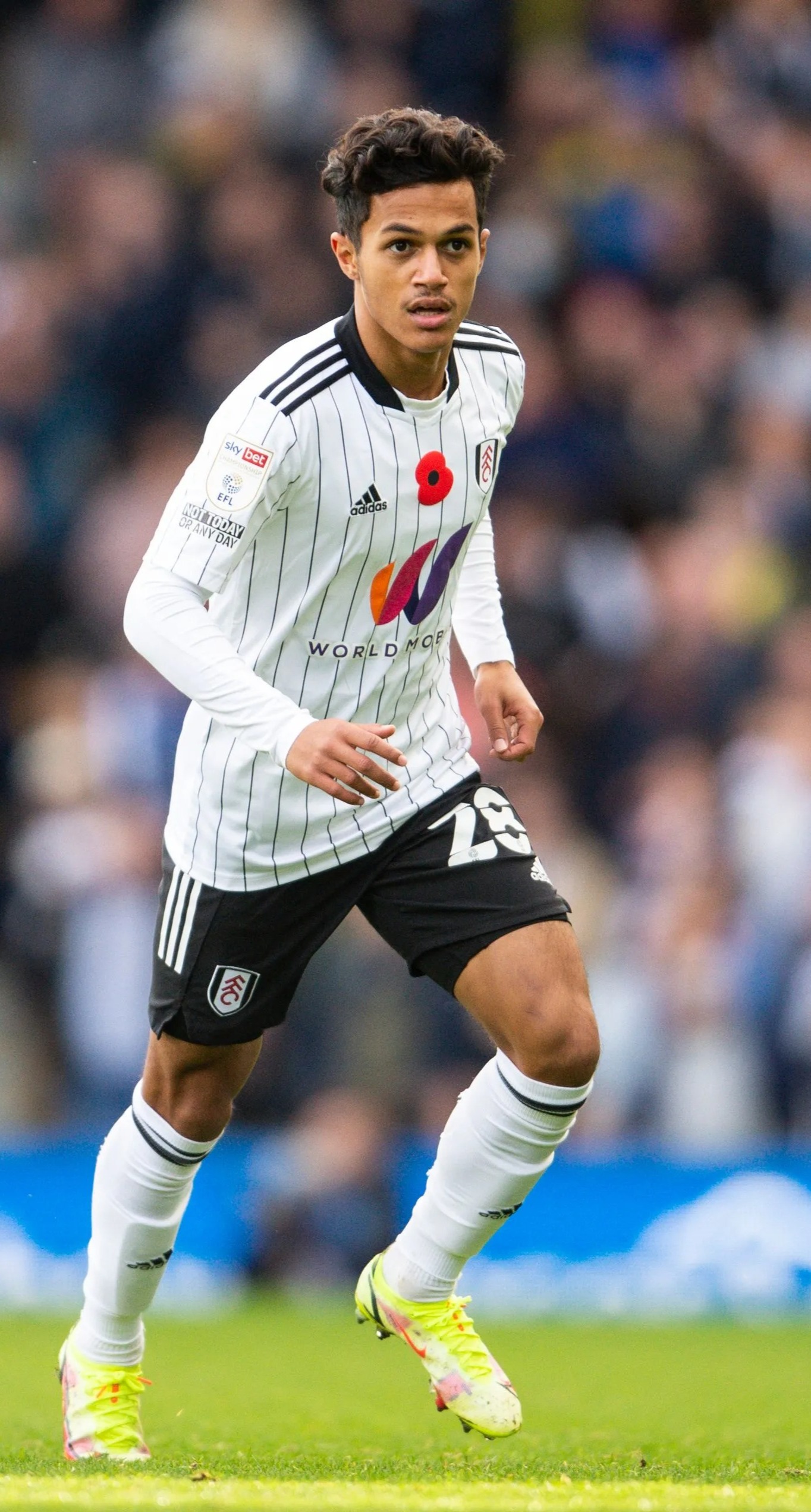 Fabio Carvalho Wallpapers - Wallpaper Cave