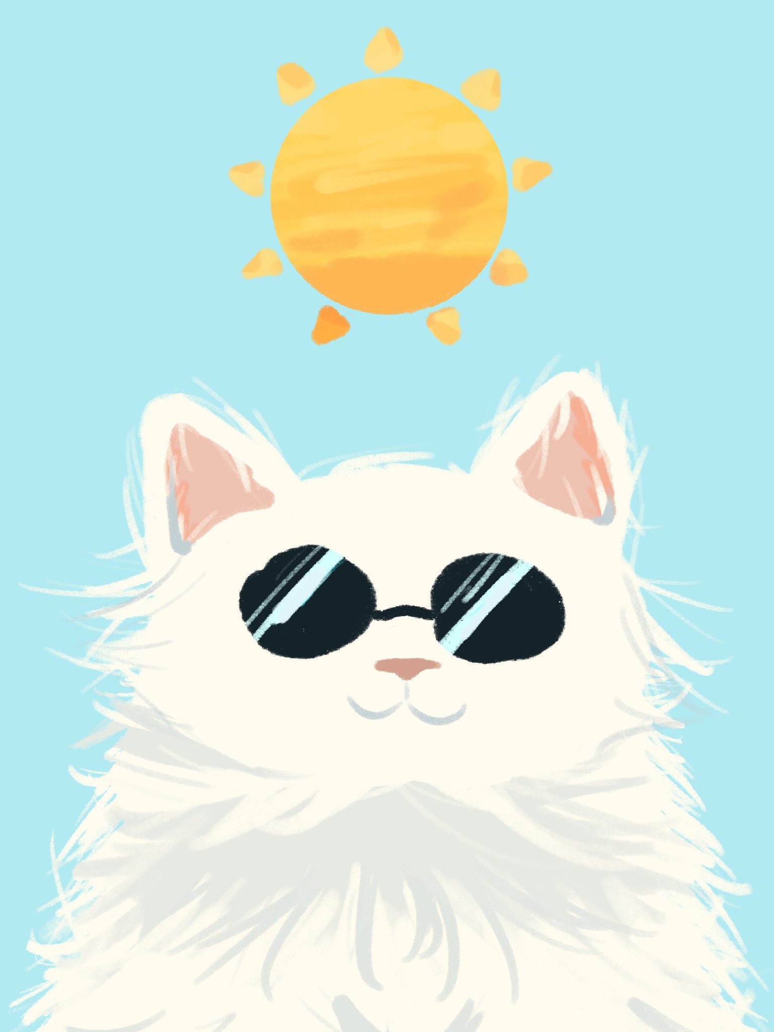 Gojo Cat Wallpapers - Wallpaper Cave