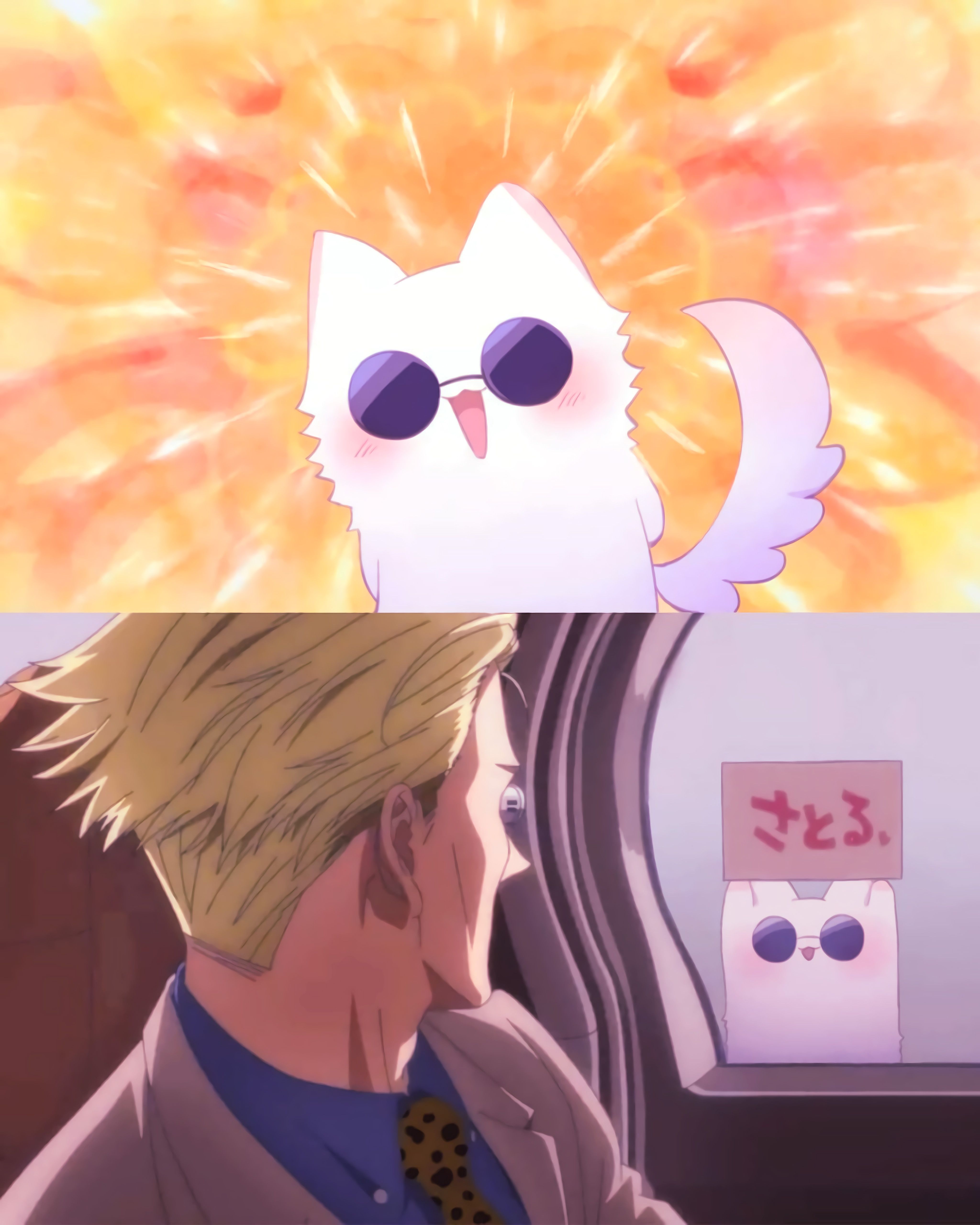 Gojo Cat Wallpapers - Wallpaper Cave