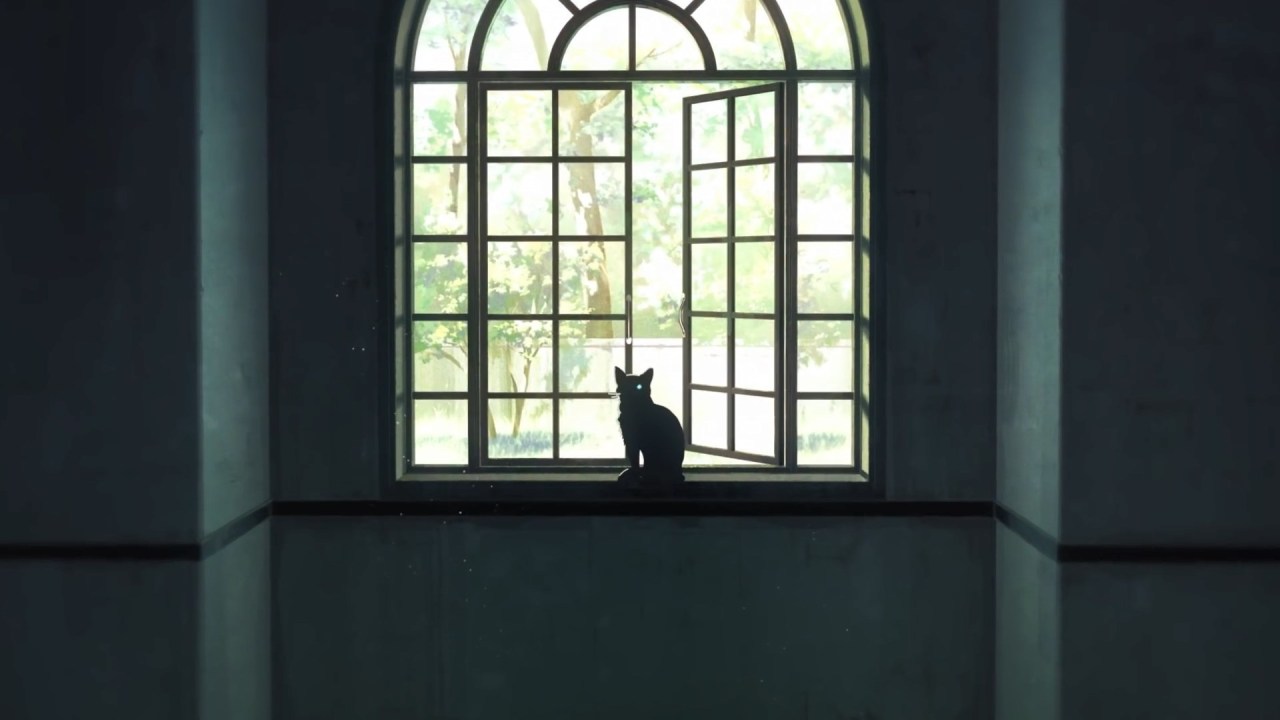 Gojo Cat Wallpapers - Wallpaper Cave