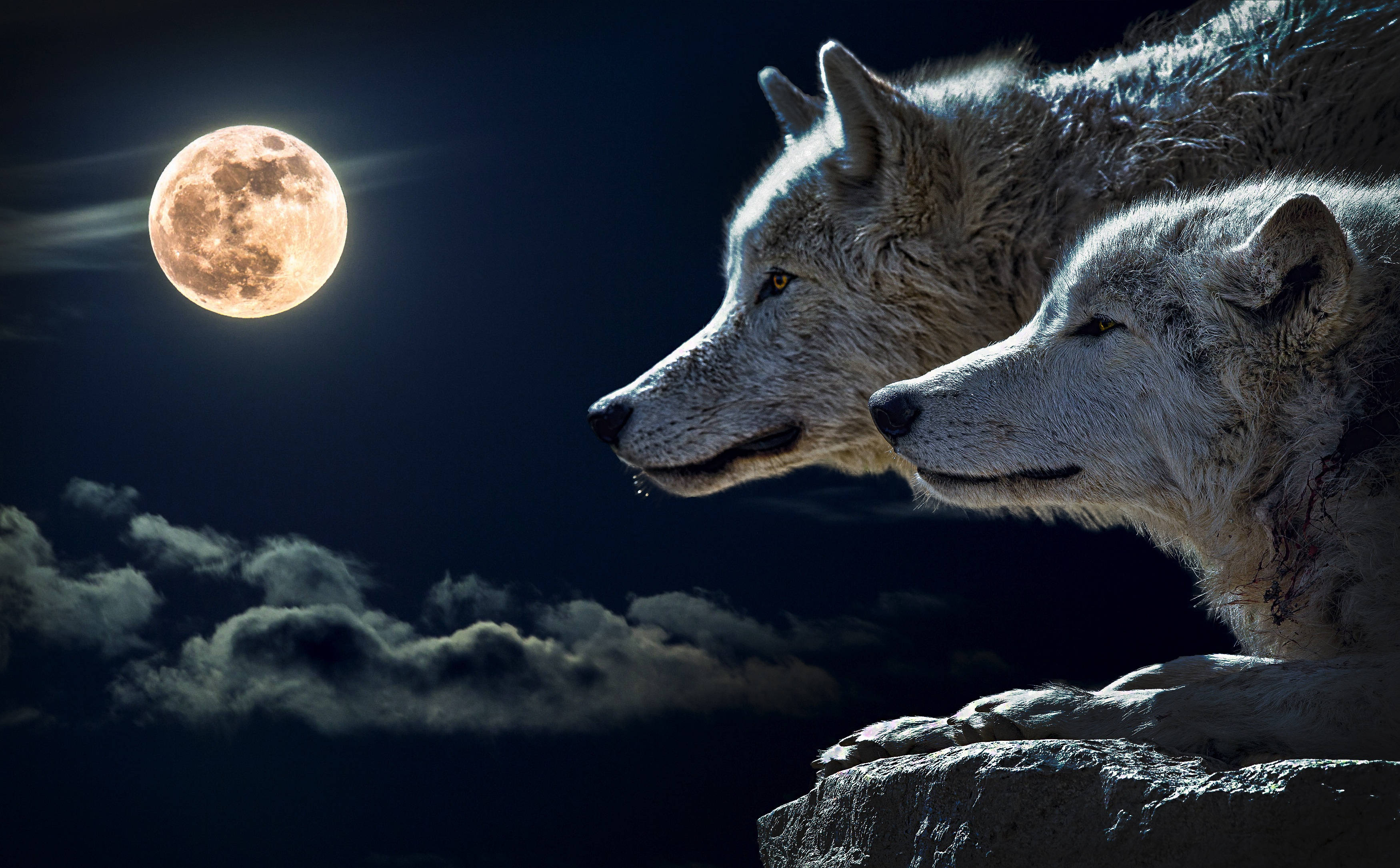 God Wolf Wallpapers - Wallpaper Cave