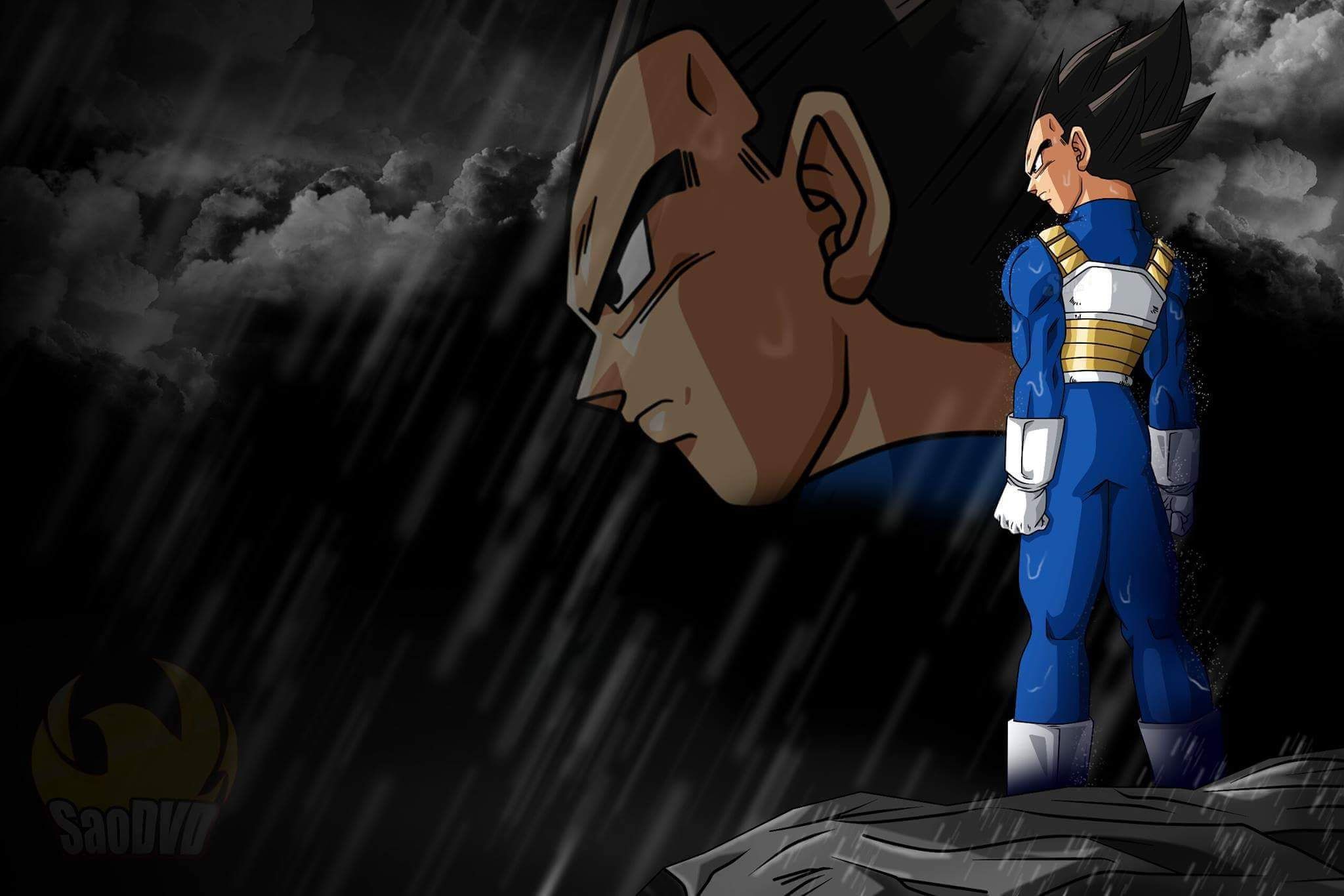 Vegeta Rain Wallpapers - Wallpaper Cave