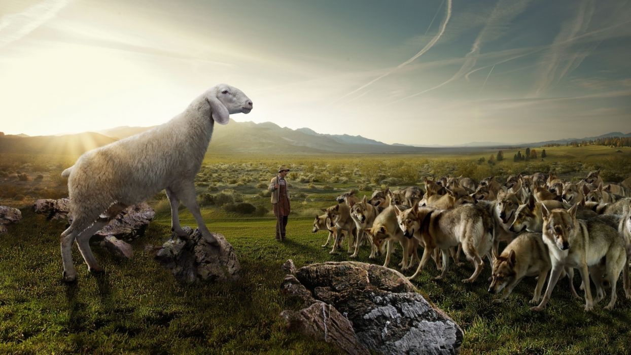 Wolf People Wallpapers - Wallpaper Cave
