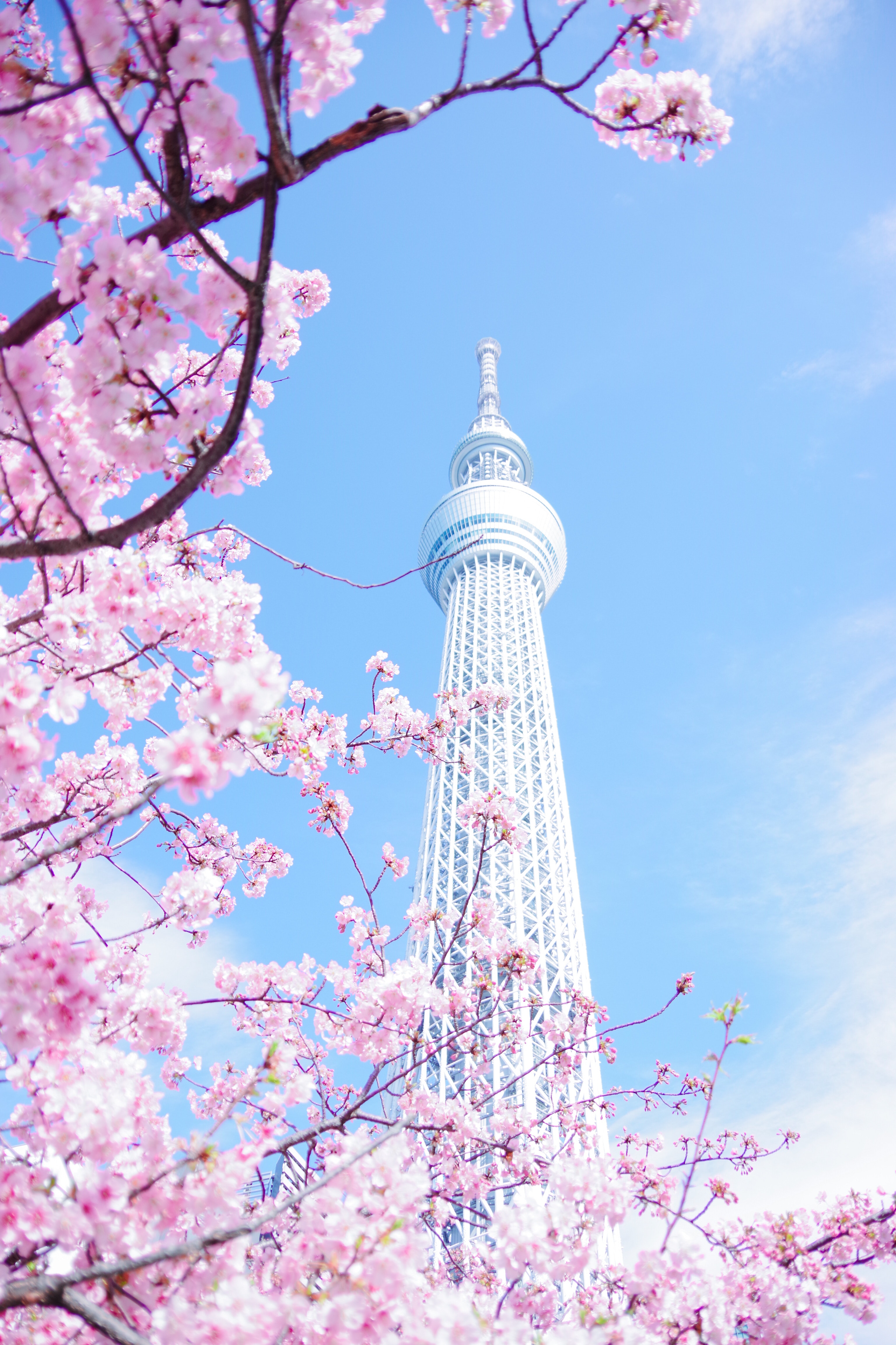 Skytree Wallpapers - Wallpaper Cave