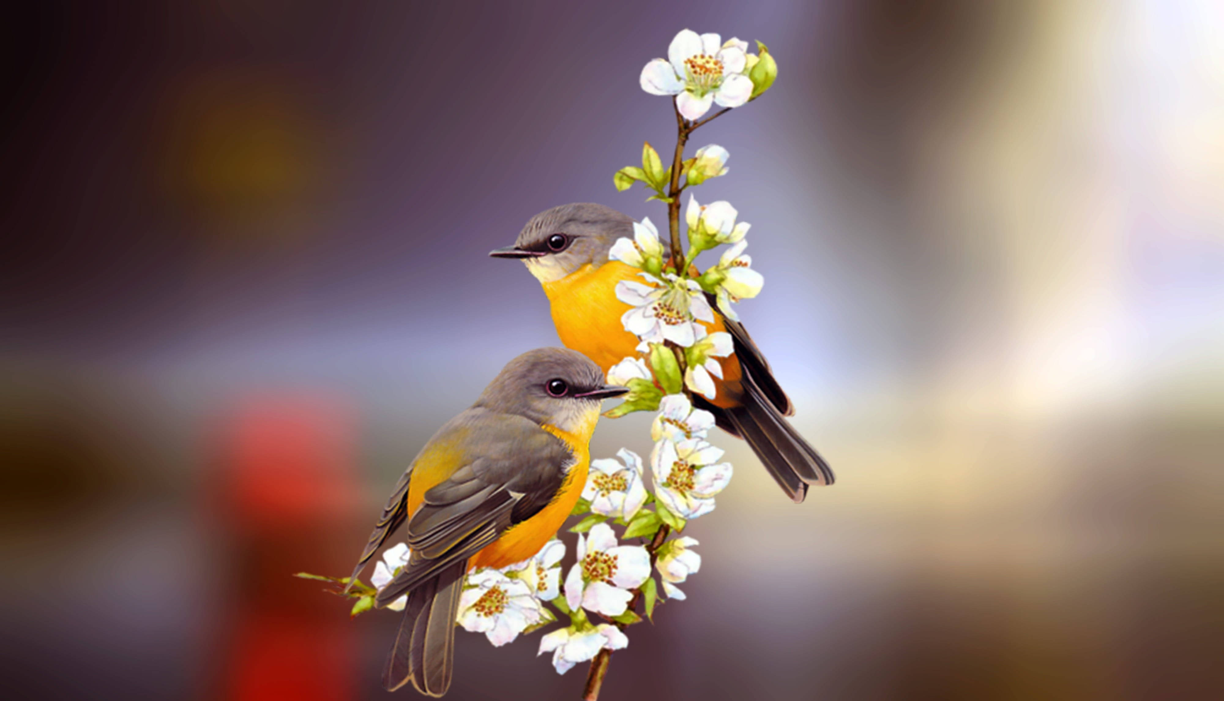 Love Birds Spring Wallpapers - Wallpaper Cave