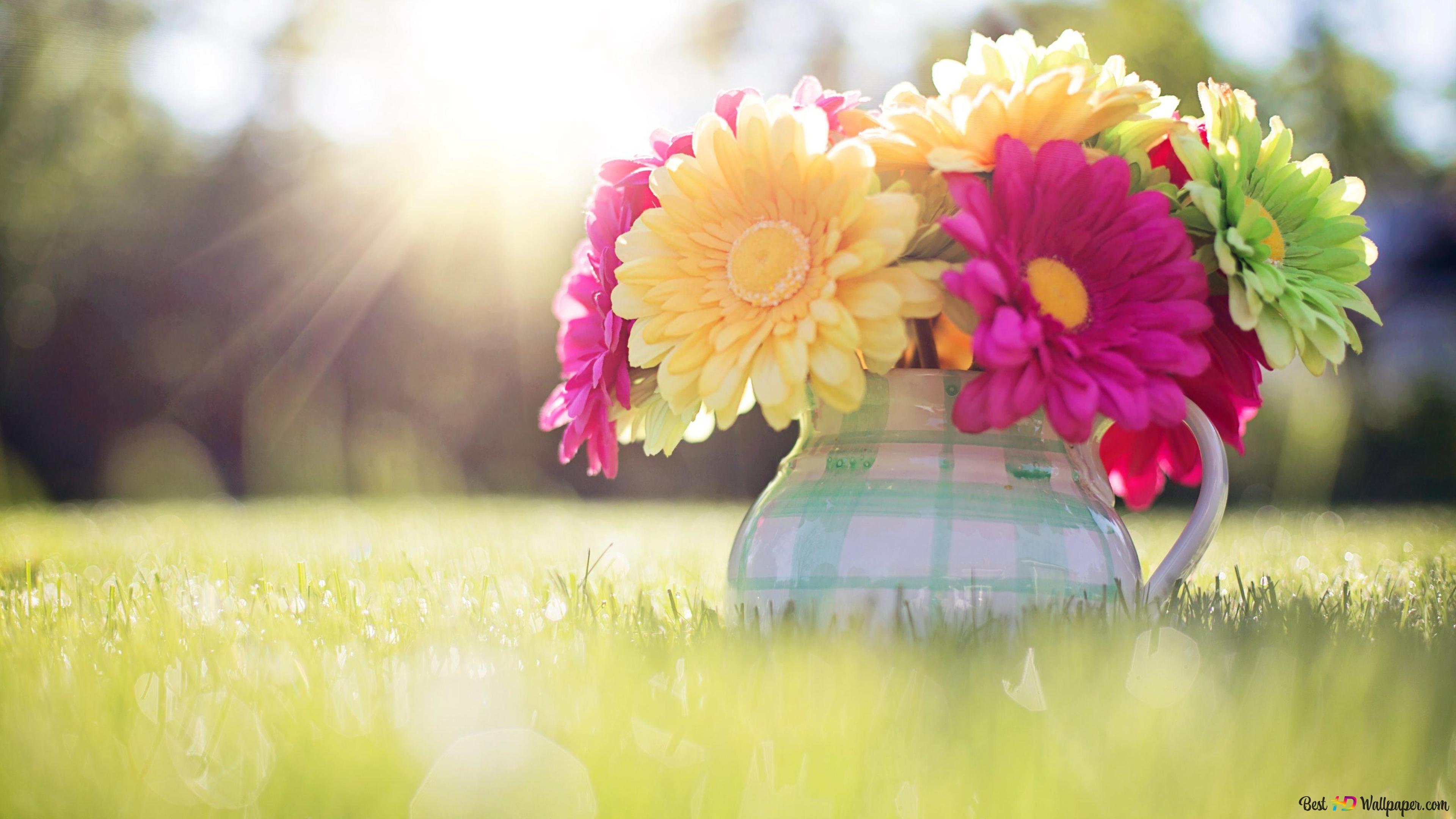 Spring 3840x2160 Wallpapers - Wallpaper Cave