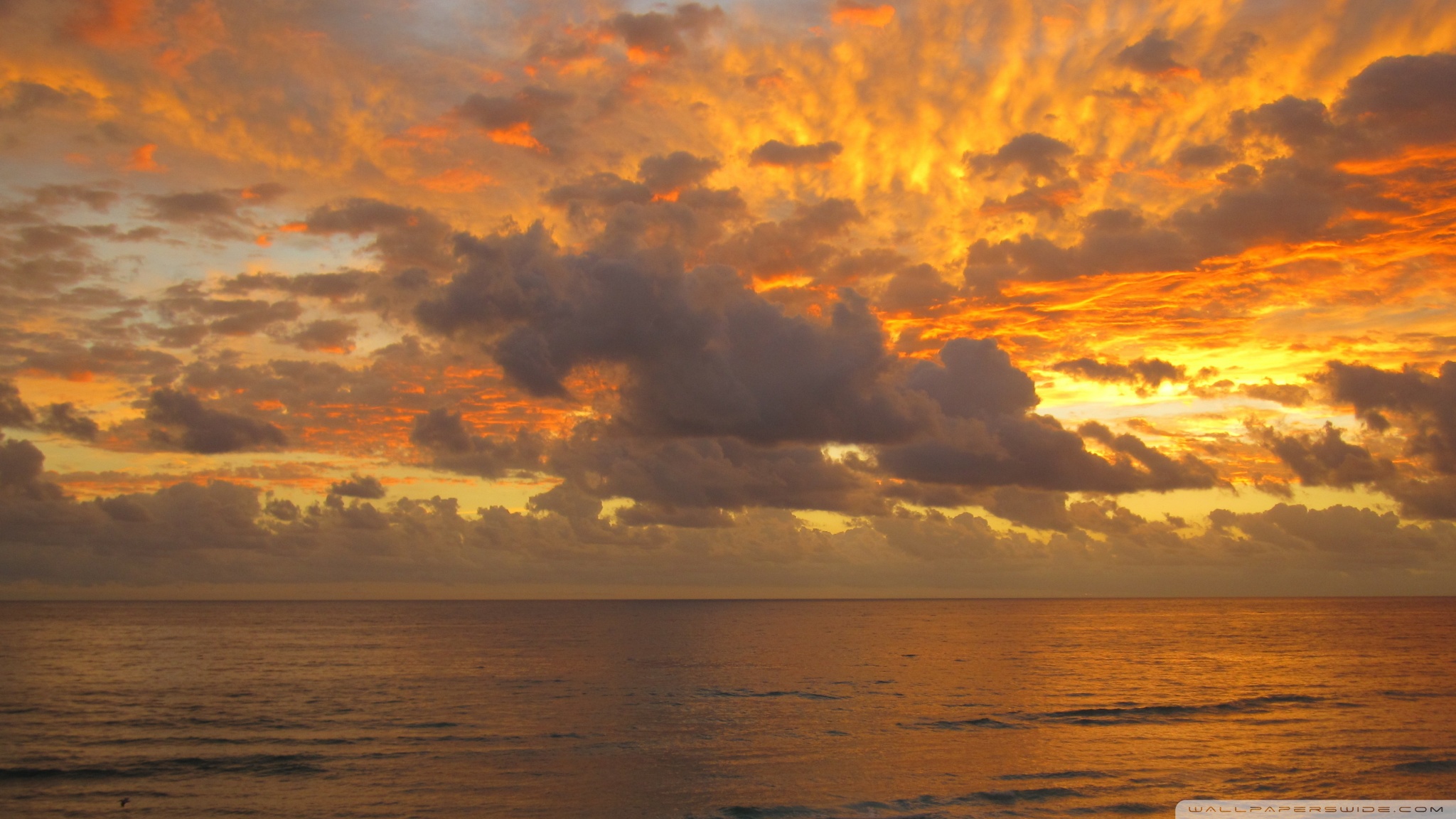 Brown Clouds Wallpapers - Wallpaper Cave
