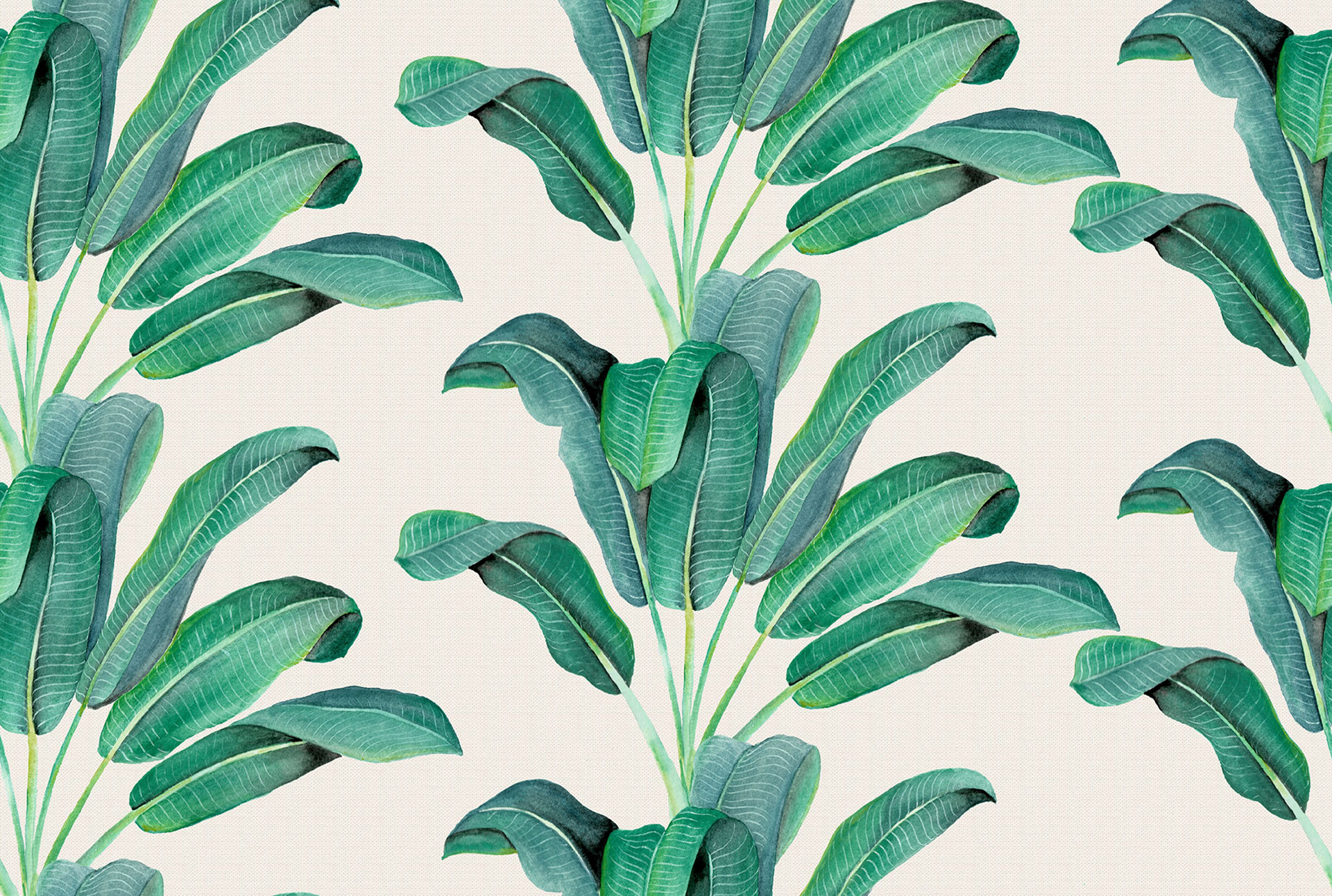 Aviator Nation Wallpapers - Wallpaper Cave