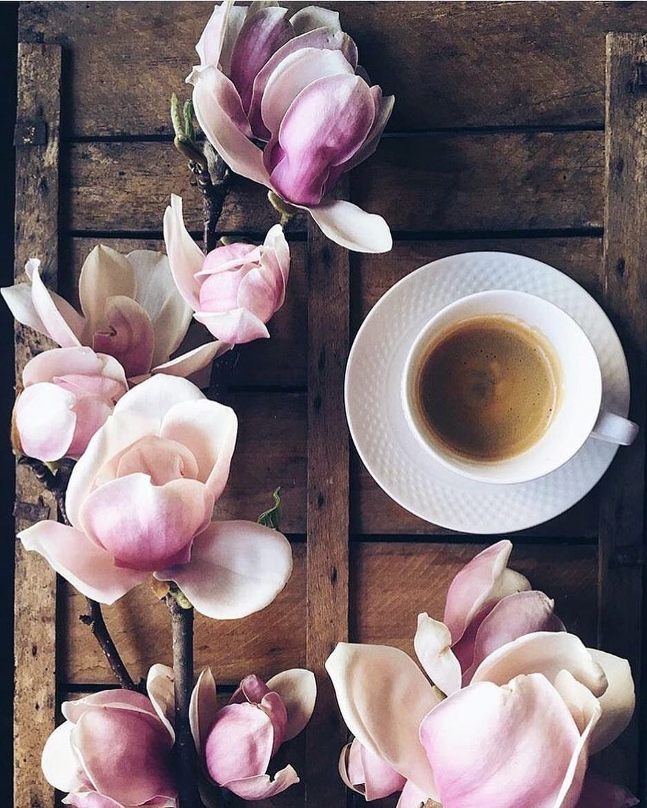 Aesthetic Spring Coffee Wallpapers - Wallpaper Cave