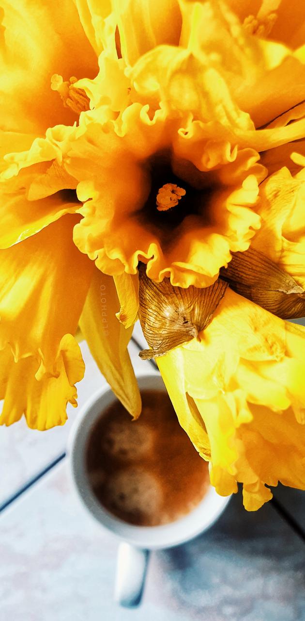 Coffee And Spring Wallpapers - Wallpaper Cave