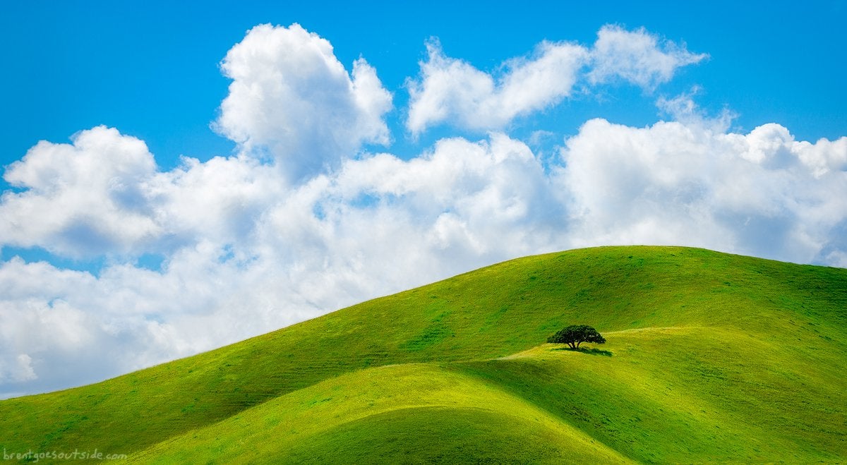 Spring Windows XP Wallpapers - Wallpaper Cave
