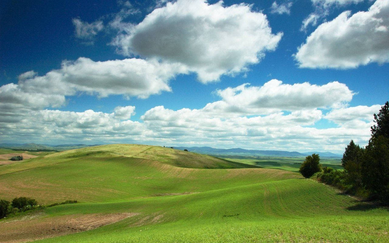 Spring Windows XP Wallpapers - Wallpaper Cave