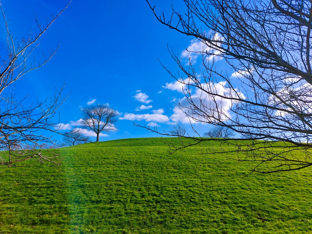 Windows XP Spring Wallpapers - Wallpaper Cave