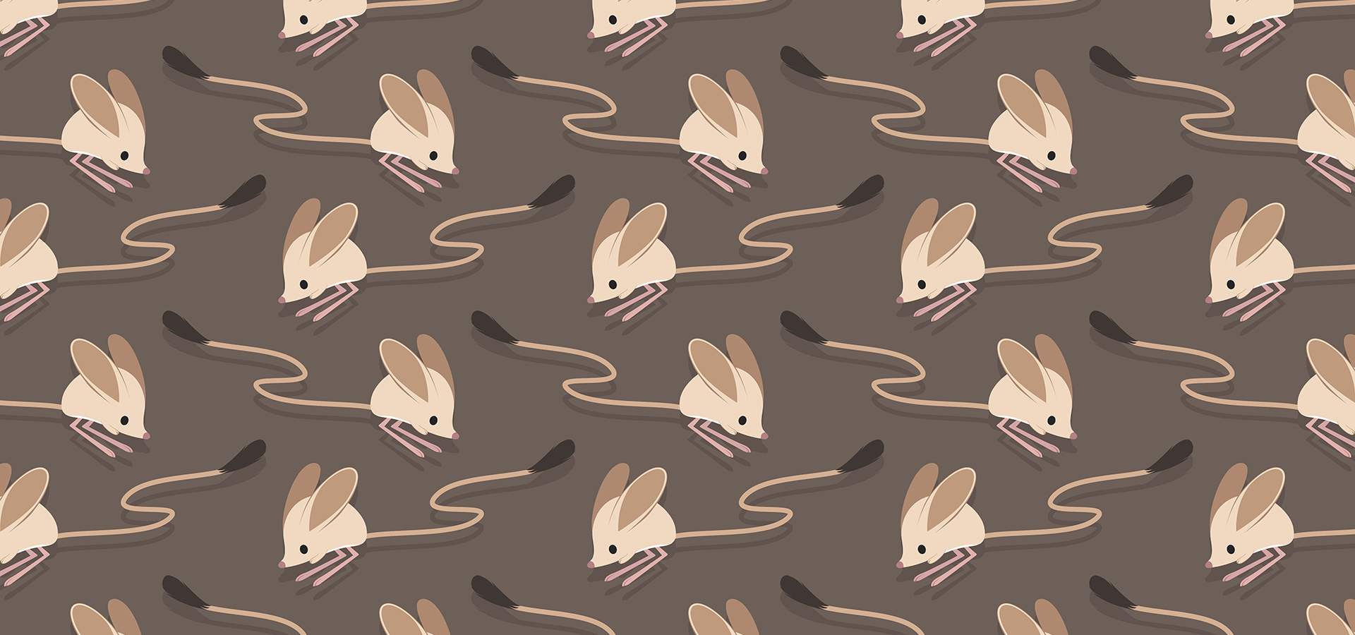 Jerboa Wallpapers - Wallpaper Cave