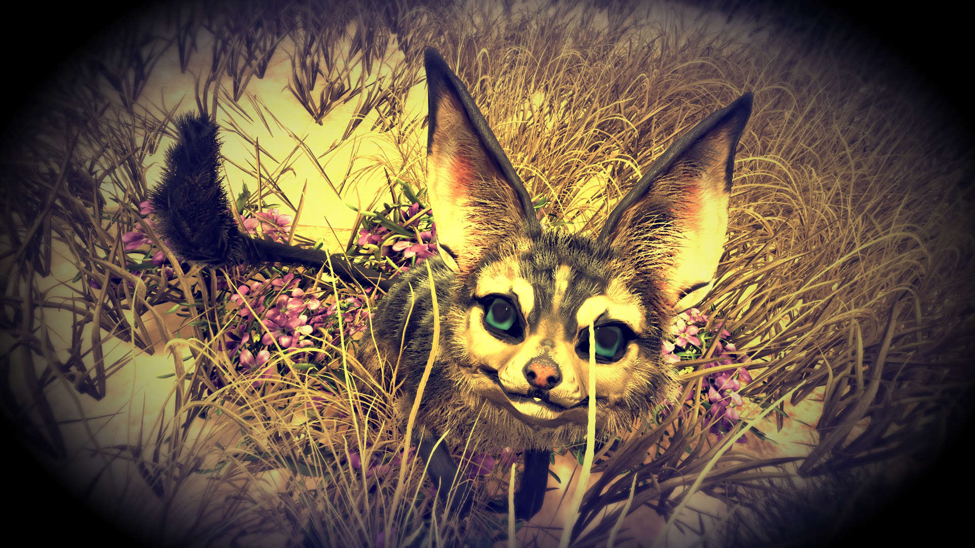 Jerboa Wallpapers - Wallpaper Cave