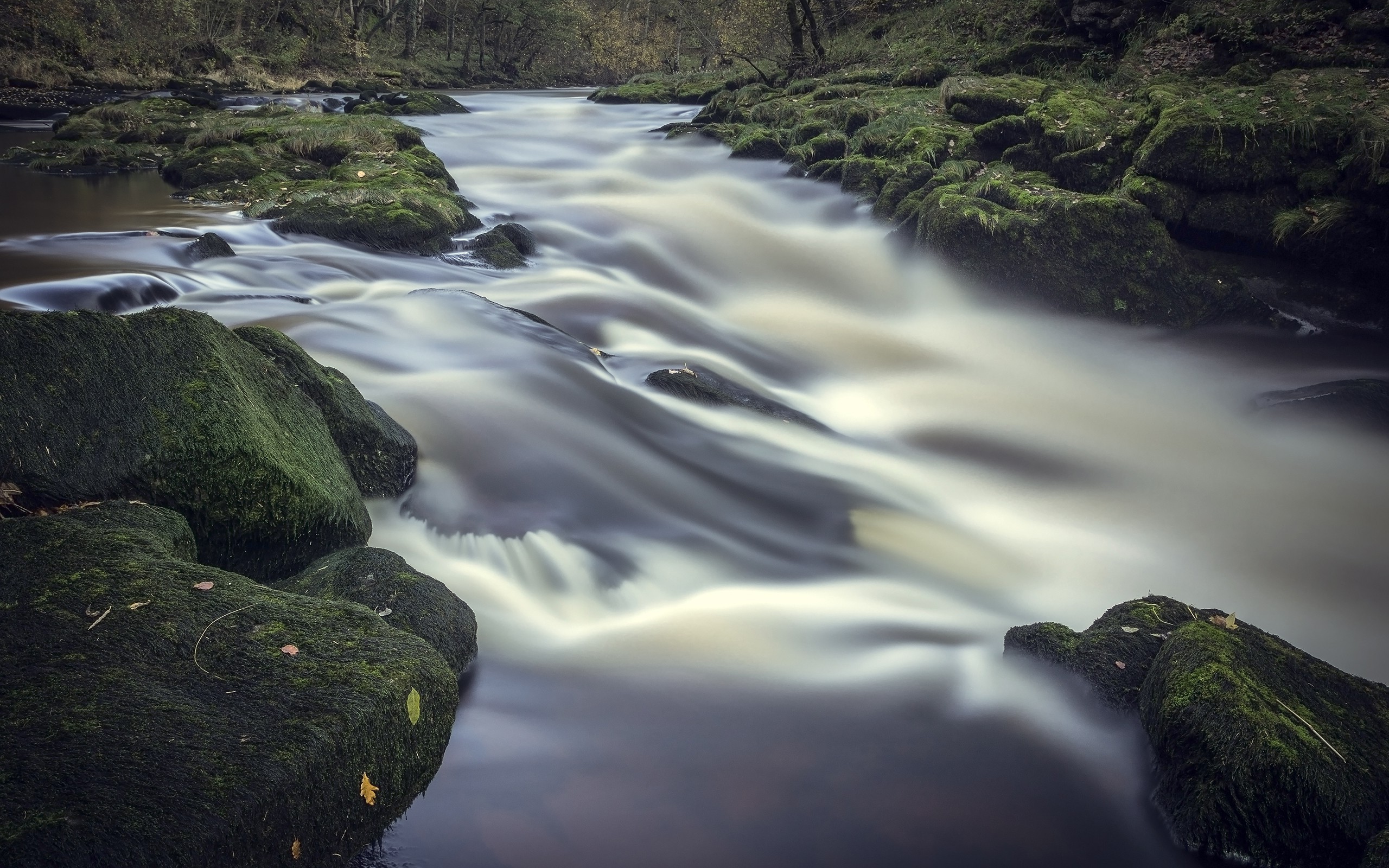 River Water Wallpapers - Wallpaper Cave