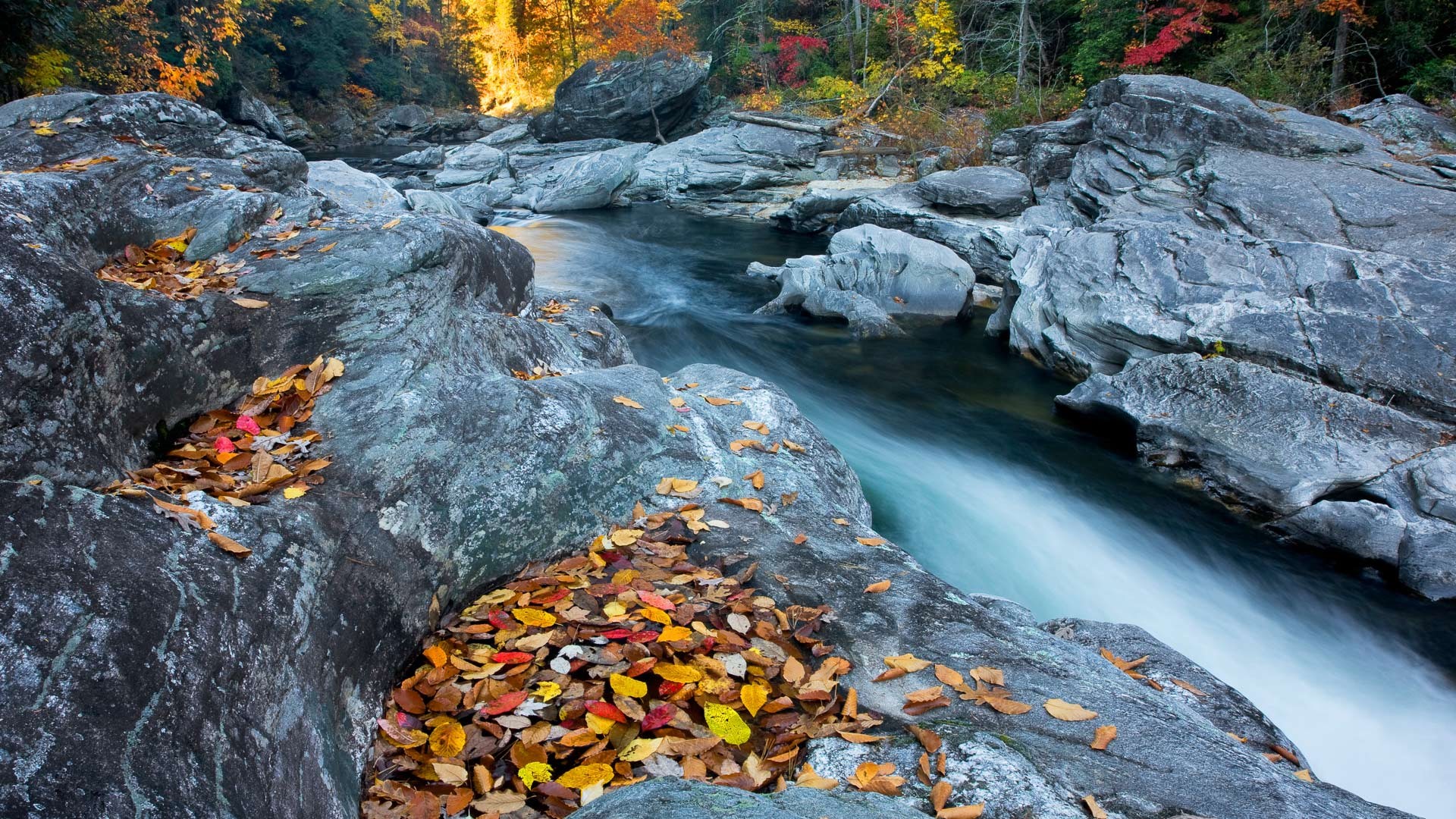 River Water Wallpapers - Wallpaper Cave